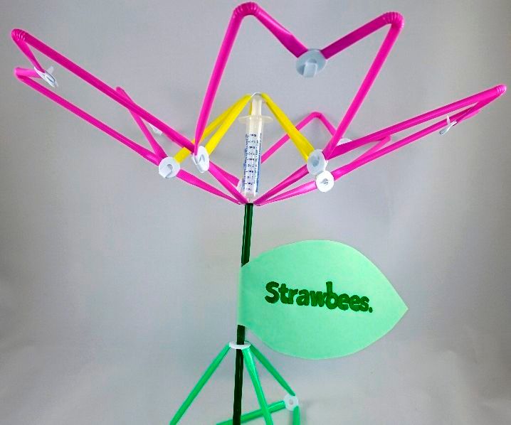 Strawbees Hydraulic Flower : 5 Steps (with Pictures) - Instructables
