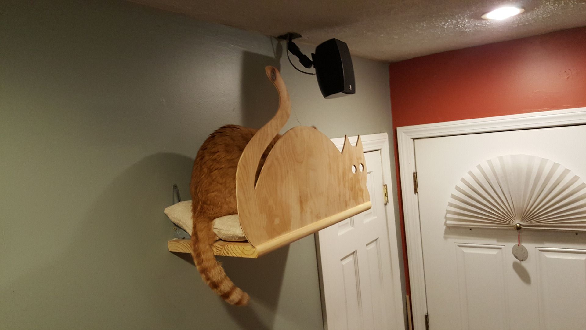 Cat Adventure and Escape Wall : 12 Steps (with Pictures) - Instructables