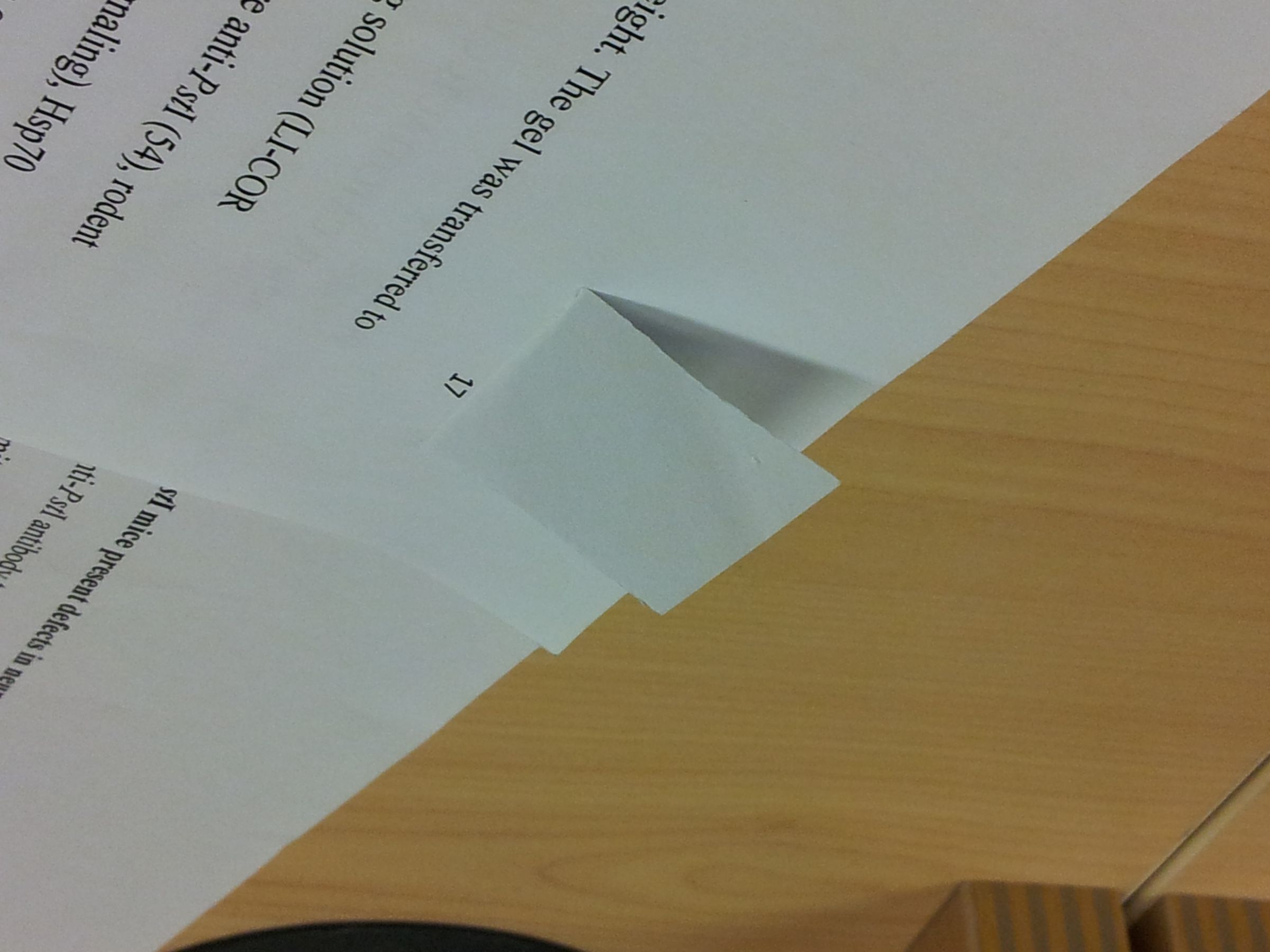 Paper Joint/Suture (A0) : 7 Steps - Instructables