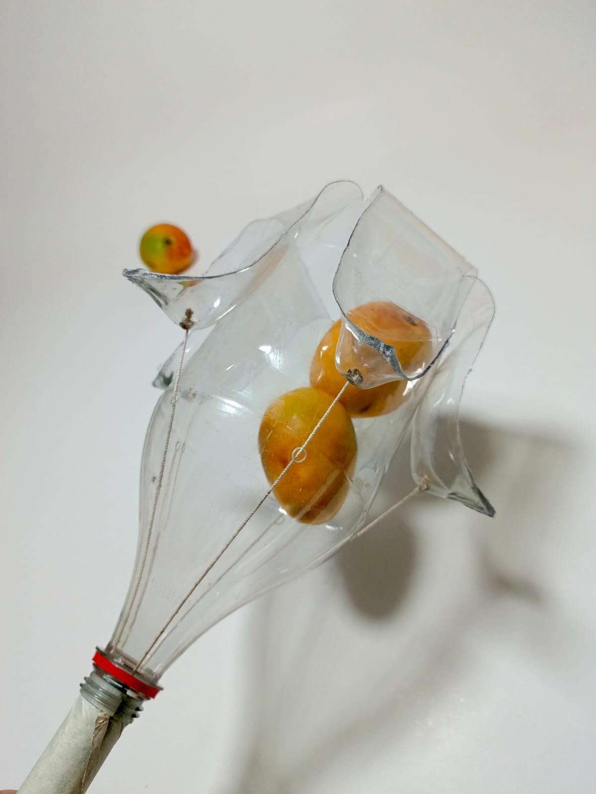 Homemade Fruit Picker : 14 Steps (with Pictures) - Instructables