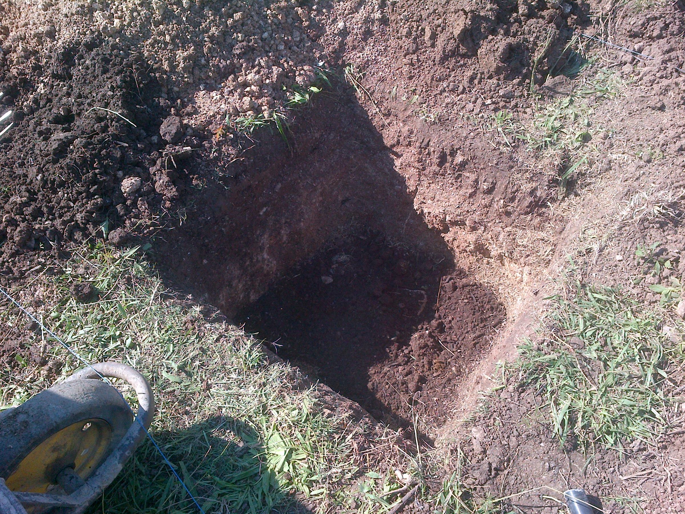 Planting Tree Ellen White Way (EGW) : 11 Steps - Instructables