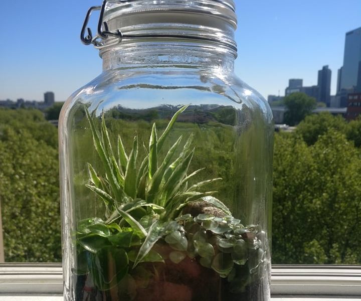 Do It Your-self Sustaining Ecosystem- : 6 Steps (with Pictures ...
