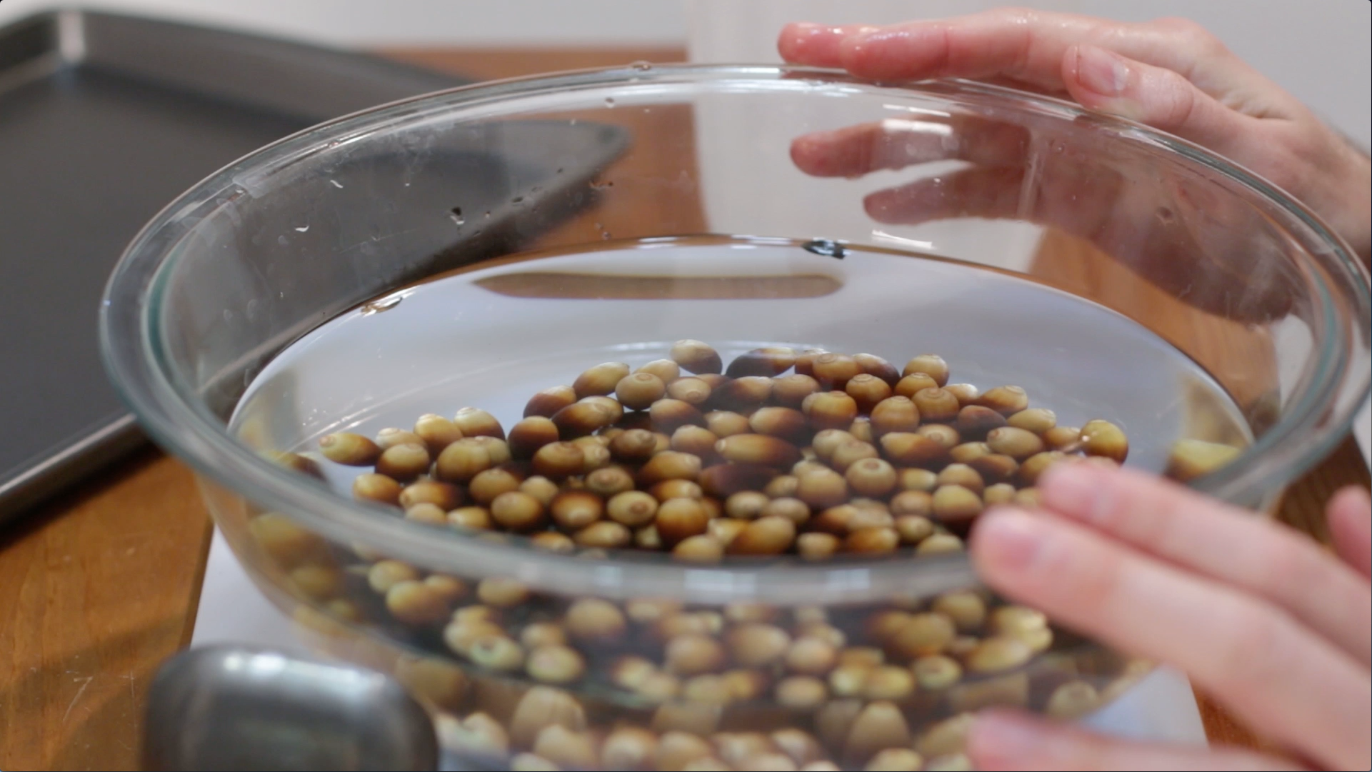 How to Process Acorns and Make Acorn Flour : 8 Steps (with Pictures ...