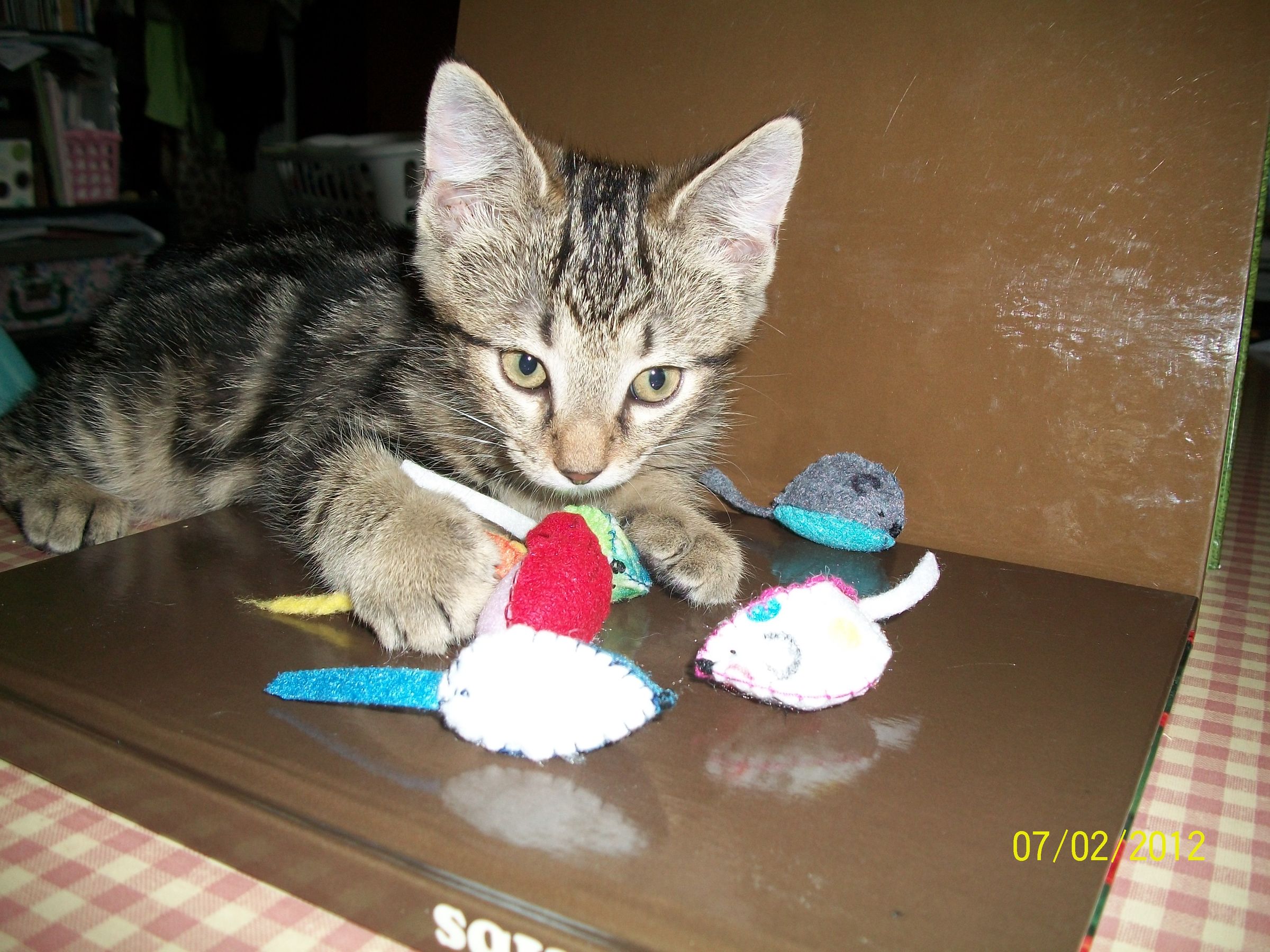 Catnip Mouse Cat Toy - Instructables