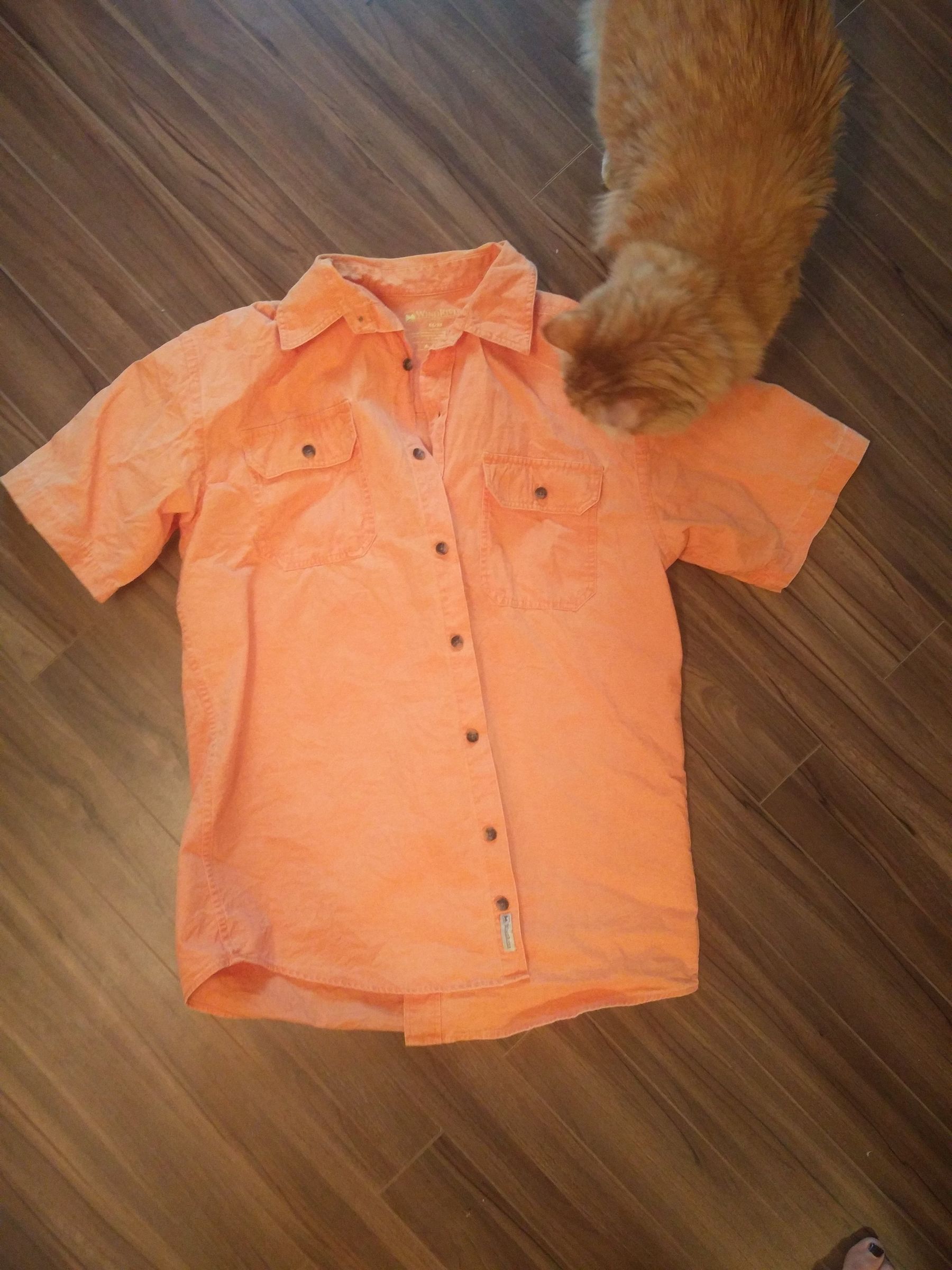 Simple Master Roshi Cosplay : 3 Steps (with Pictures) - Instructables