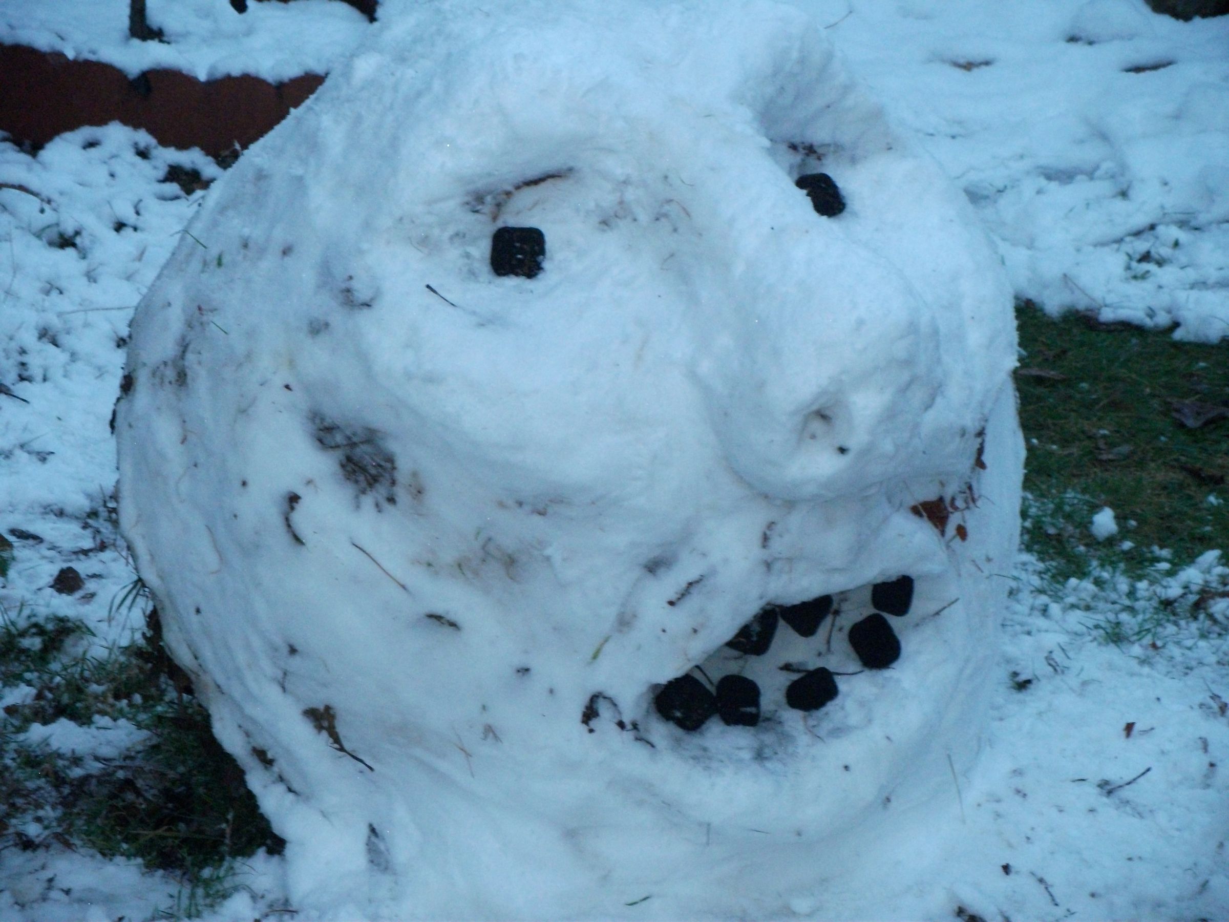 Snowbilly - Instructables