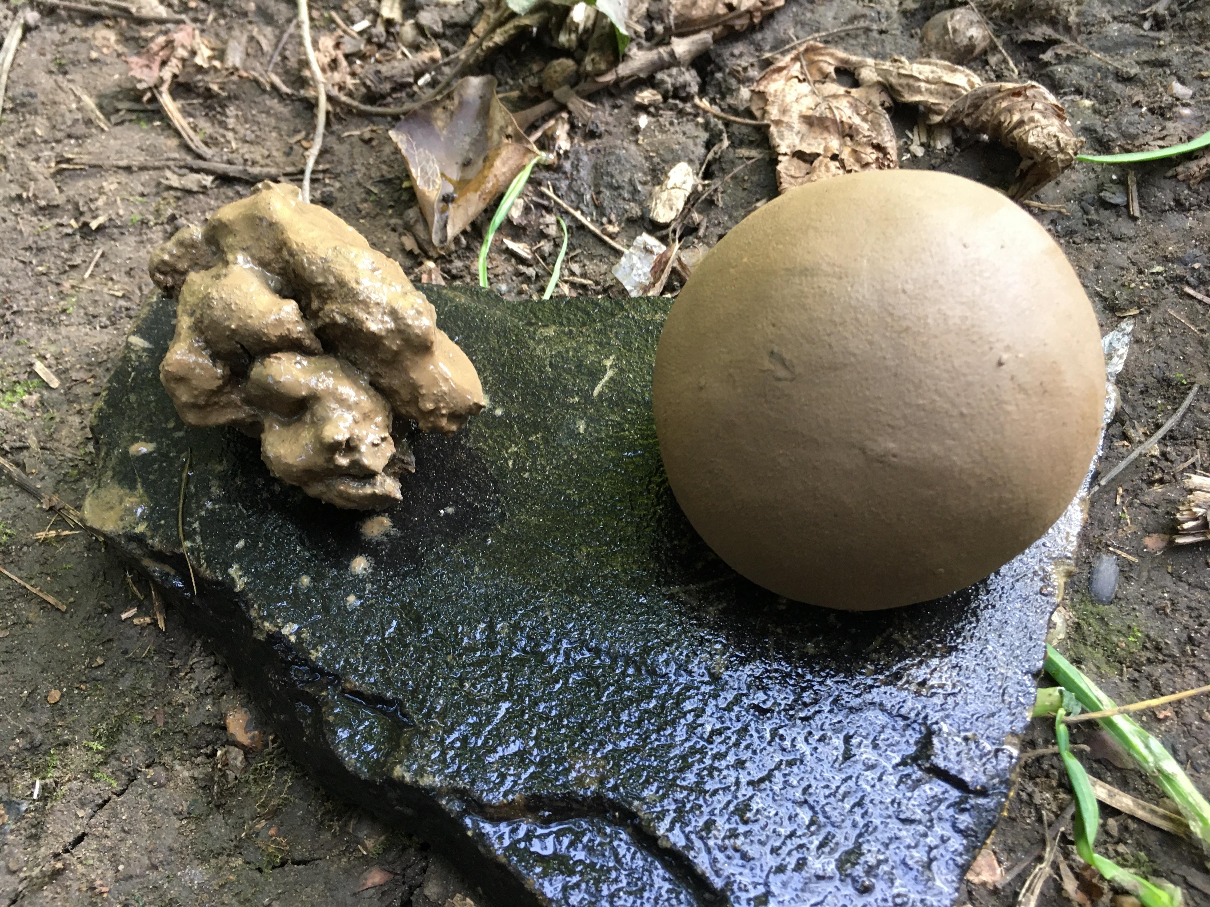 The River Clay Project - From Riverbed to Dining Table : 36 Steps (with ...