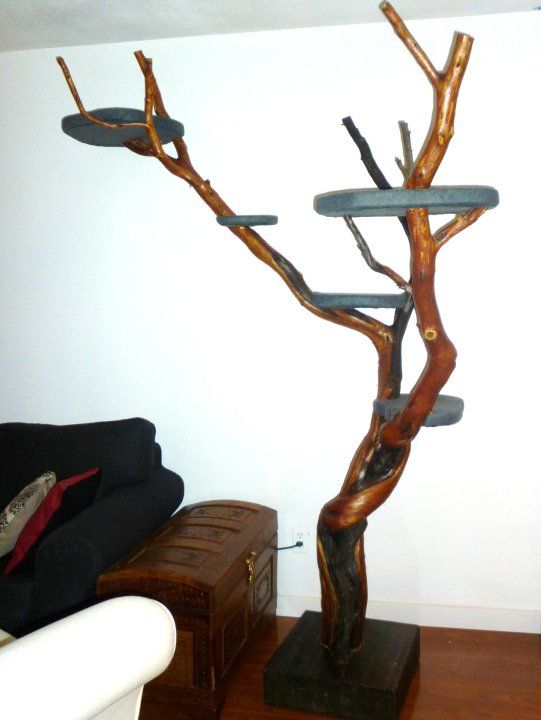 Twisted Juniper Cat Tree - Instructables