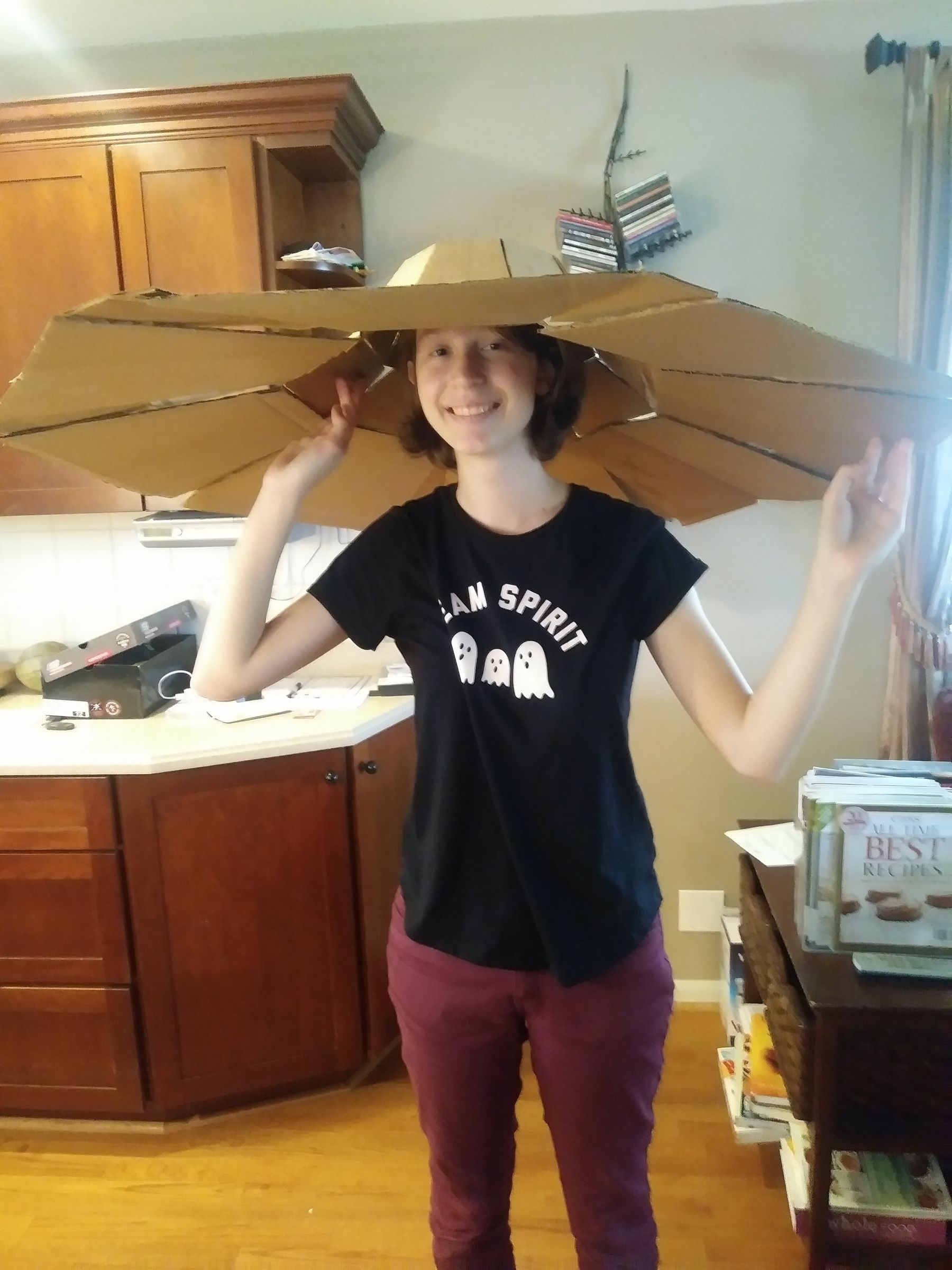 Cardboard UFO! : 6 Steps - Instructables