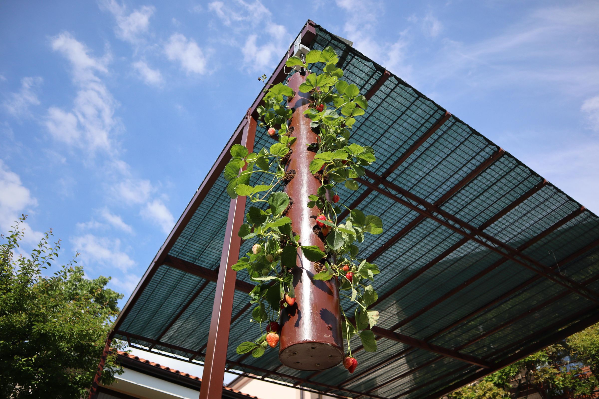 Solar Powered Rotating Strawberry Tower : 13 Steps (with Pictures ...