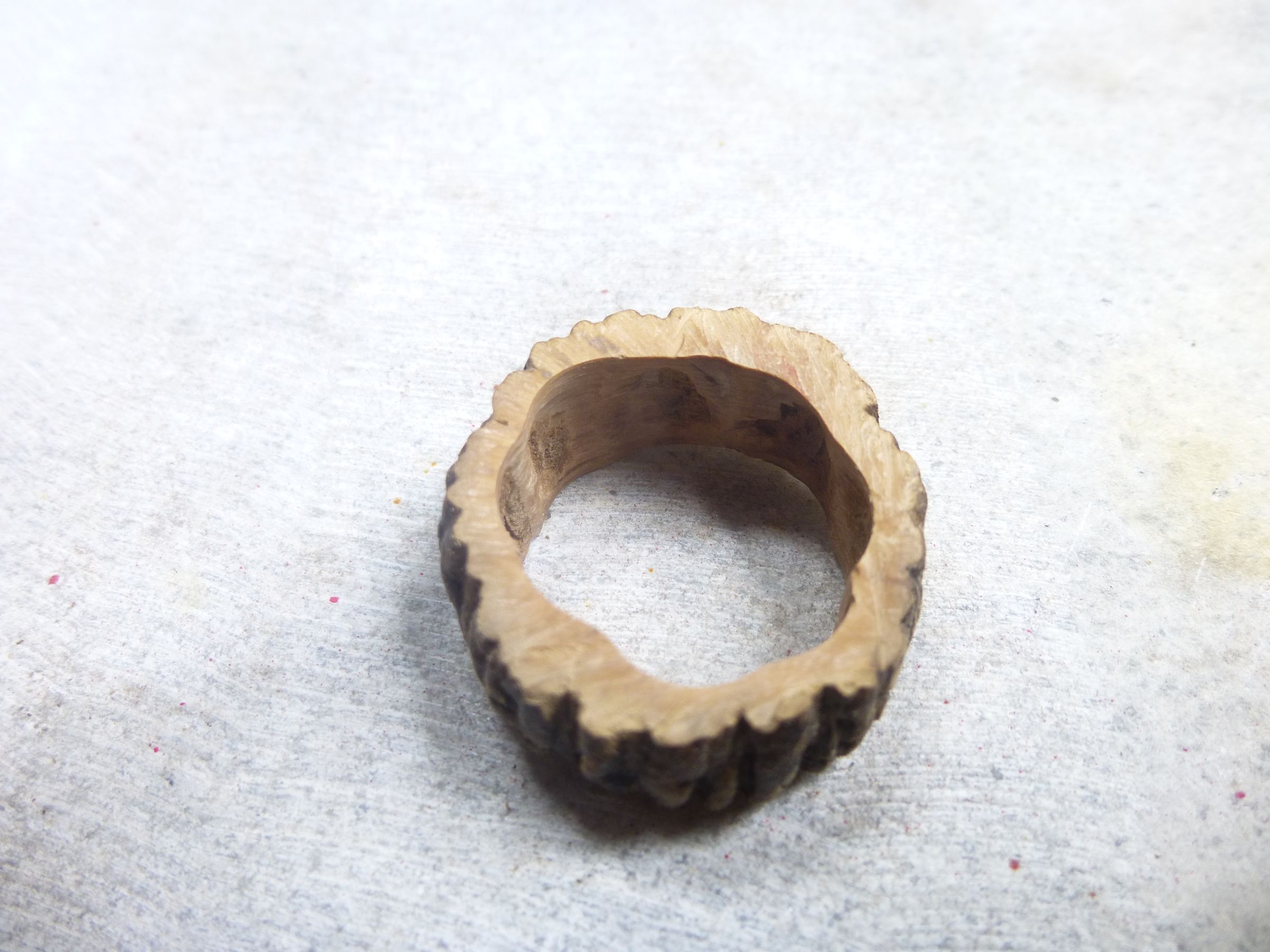 Black Walnut Seed Ring. : 4 Steps (with Pictures) - Instructables