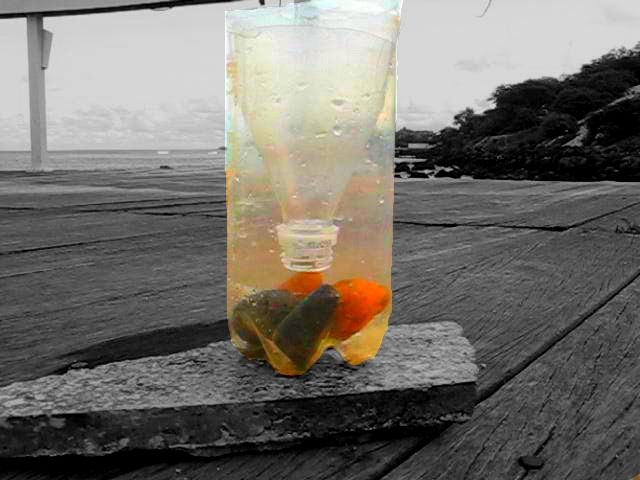 How to Make a Fish Trap in 30 Seconds (with Pictures) - Instructables