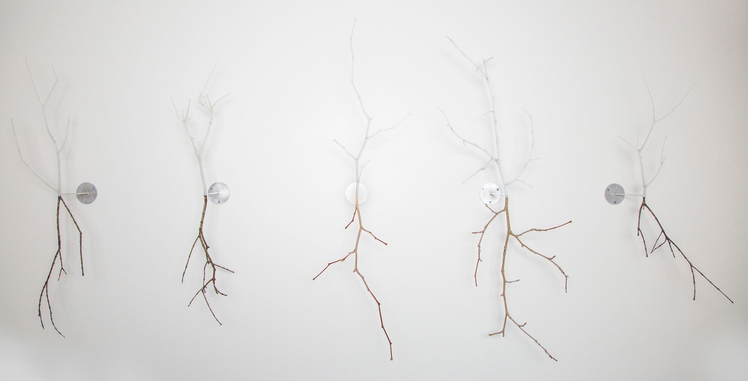 5 Twigs : 4 Steps - Instructables