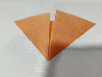 Origami Koi Fish : 22 Steps - Instructables
