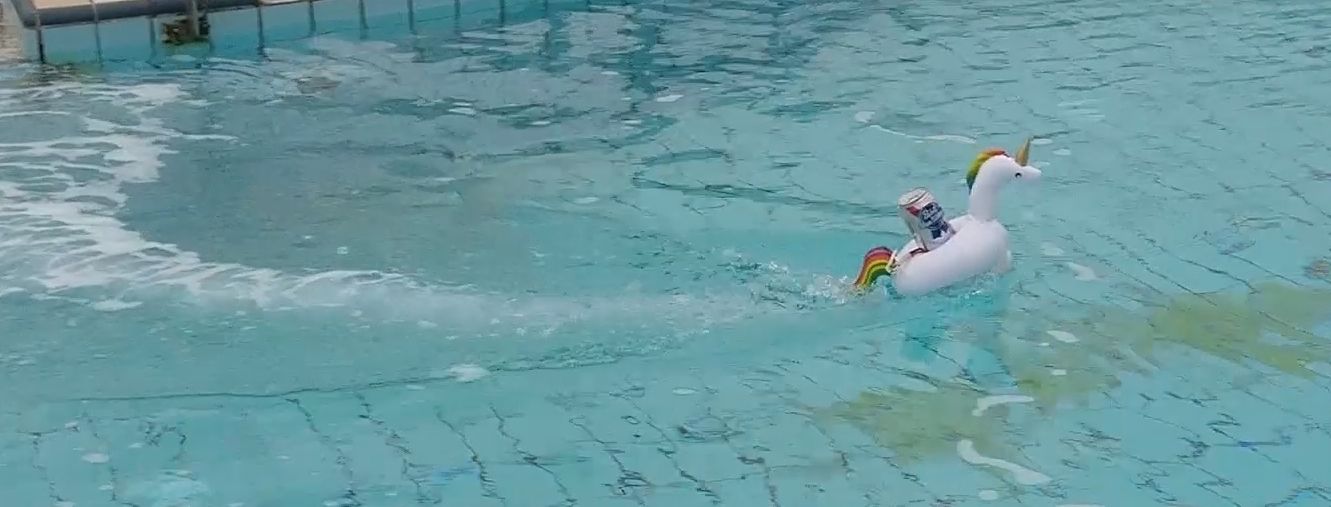 DIY RC Floatie Unicorn : 8 Steps (with Pictures) - Instructables