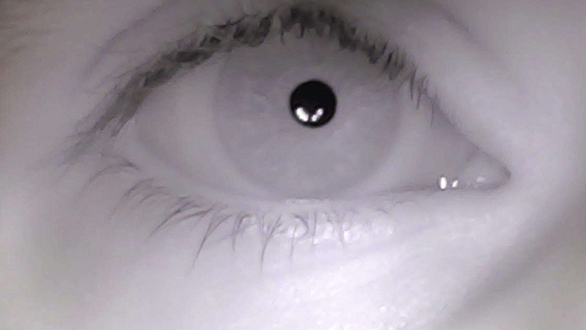 Make Basic Infrared Thermal Imaging Camera for Cheap ! Convert Any ...