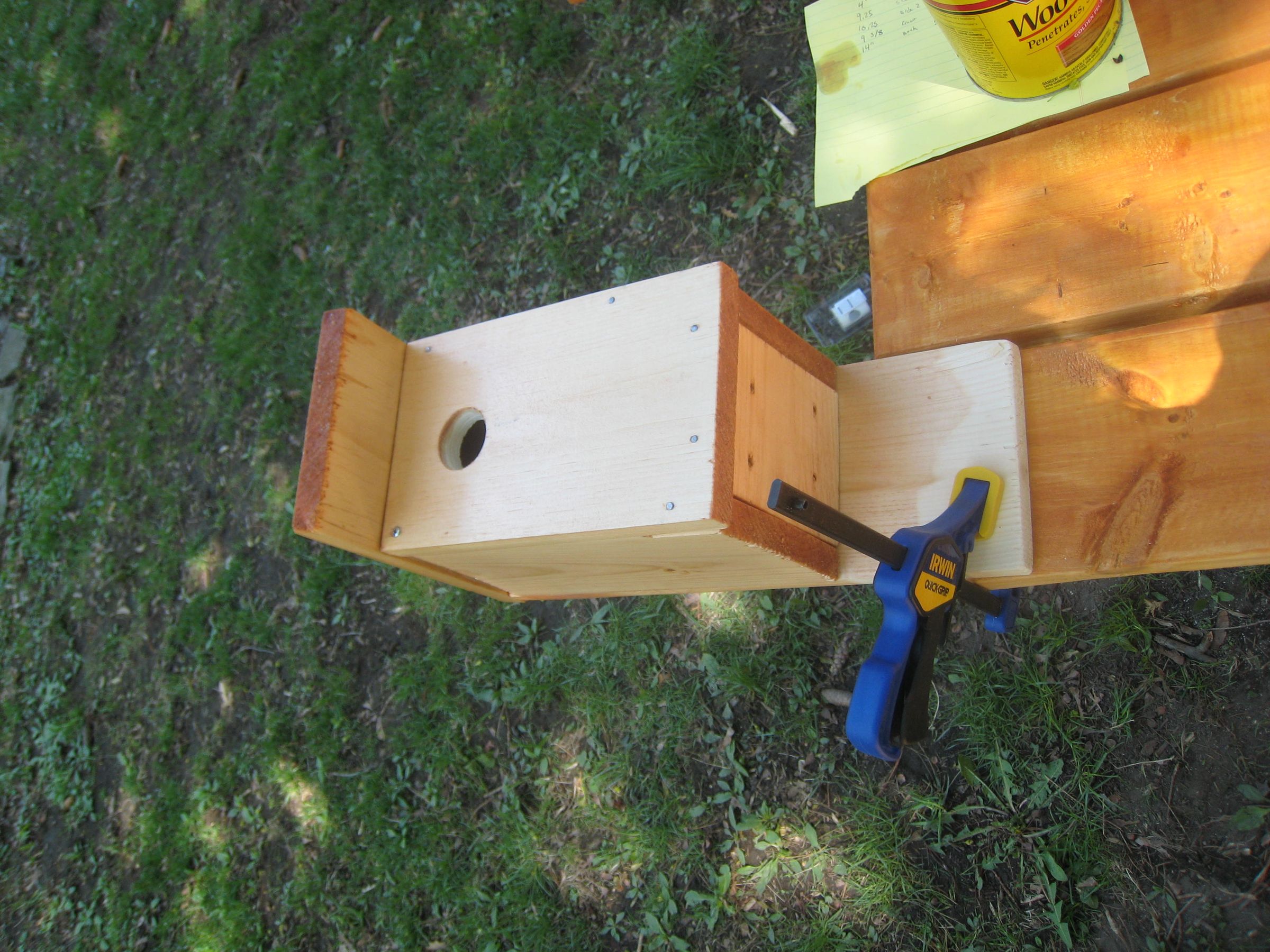Eastern Bluebird Houses (from Hand Tools) : 9 Steps (with Pictures ...