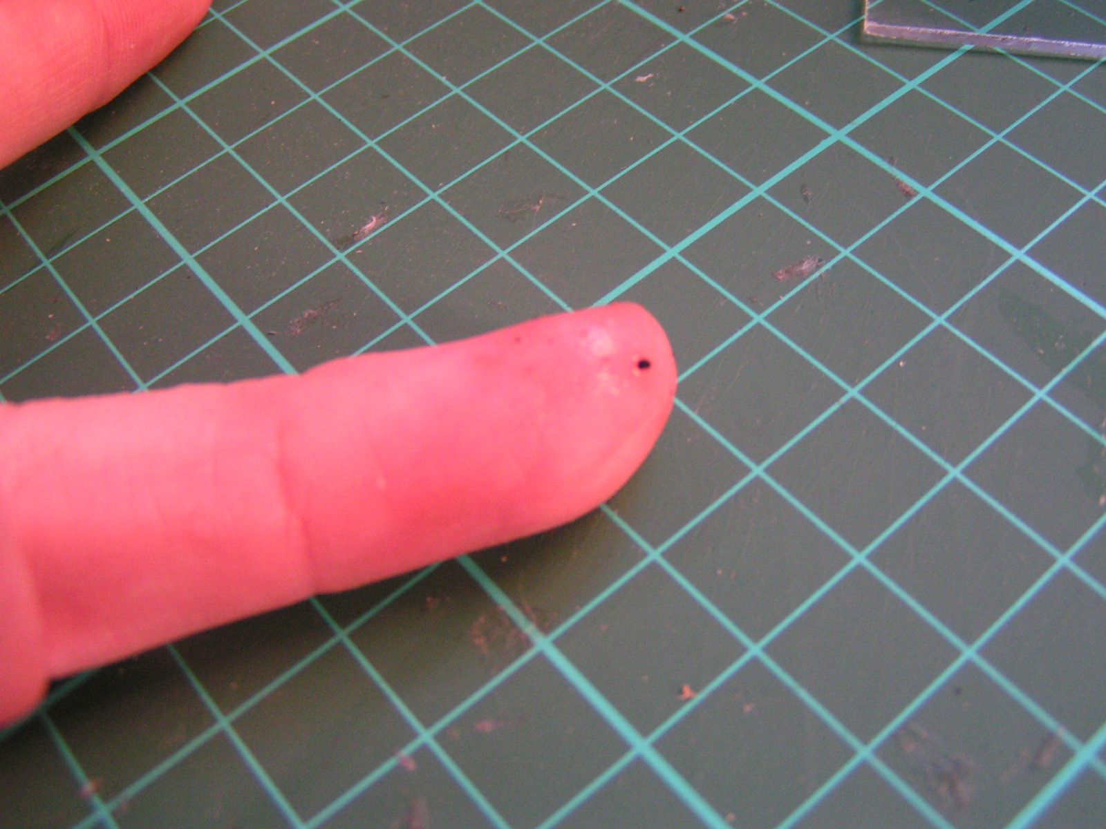 Give Your Loved One a Real "fallen Star". : 4 Steps (with Pictures ...