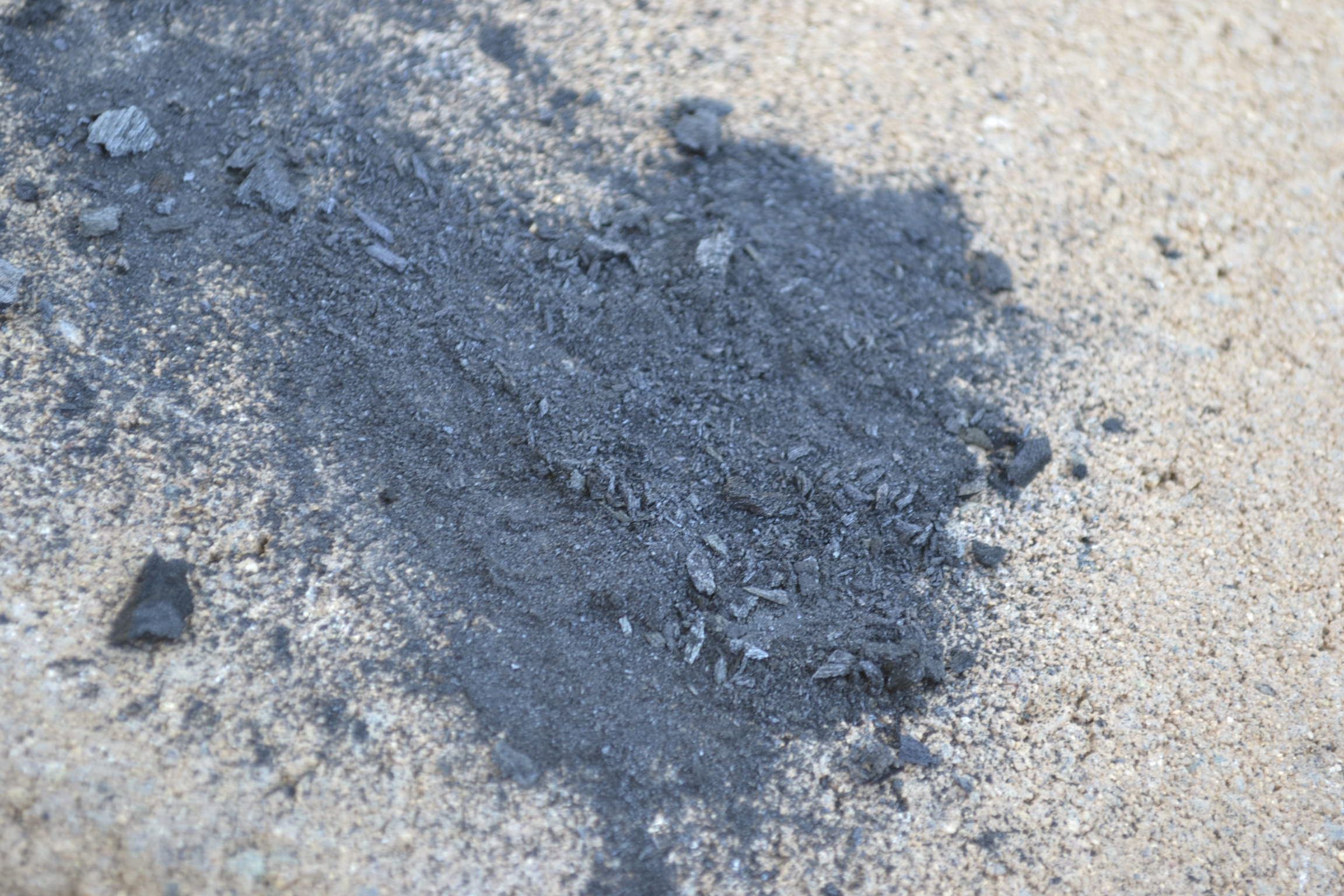 Survival Pine Tar: Pitchsticks, Fire Starter, Super Glue!! : 7 Steps ...