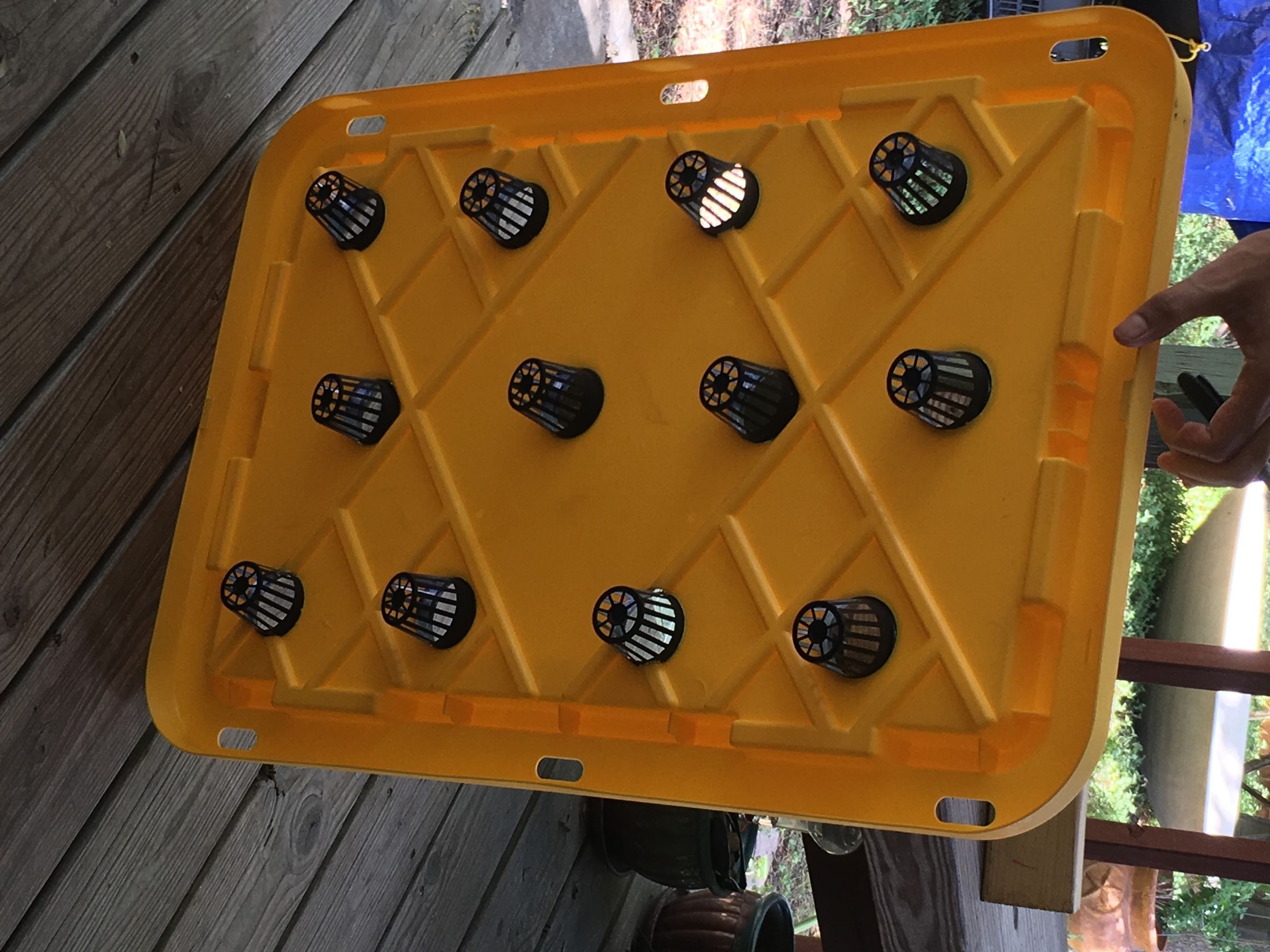 TRUE Aeroponics - Simple Indoors Low Water Lettuce Growing Fogponics ...