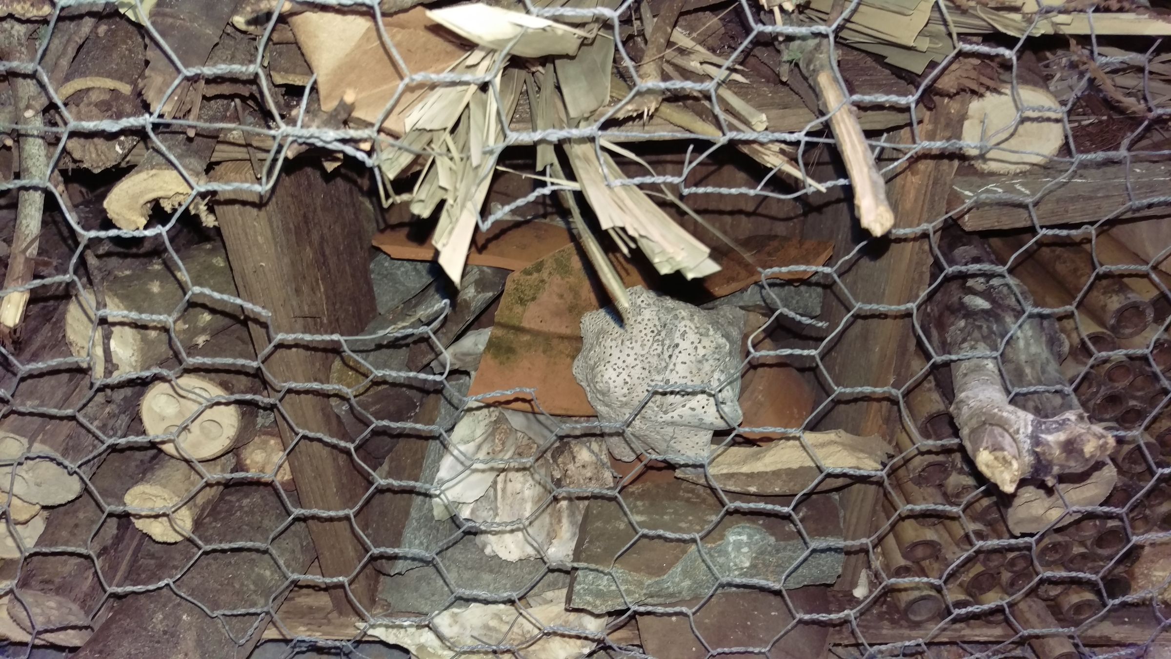 Bee Condo Insect Hotel : 9 Steps (with Pictures) - Instructables