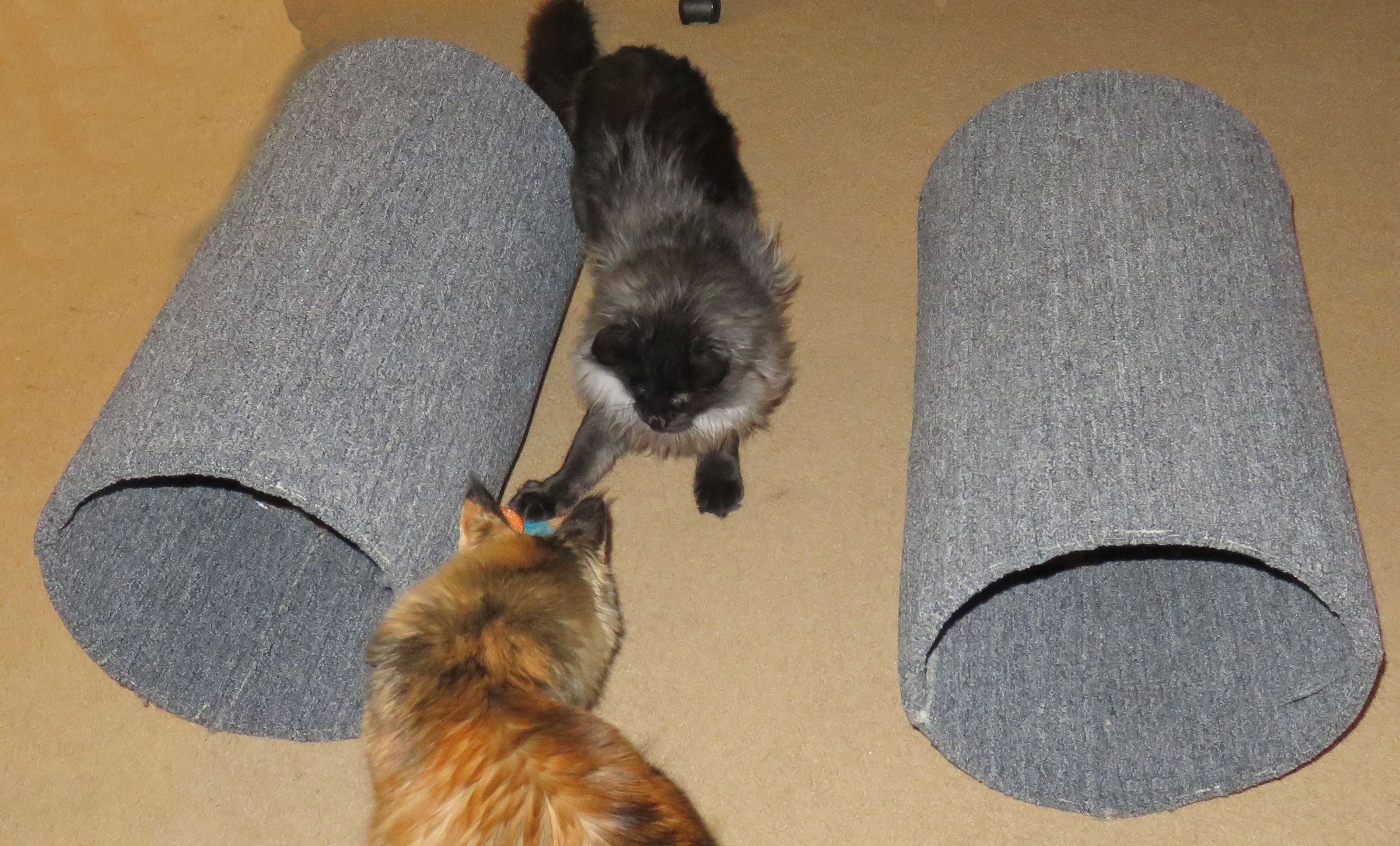 Double Cat Tunnel : 11 Steps (with Pictures) - Instructables