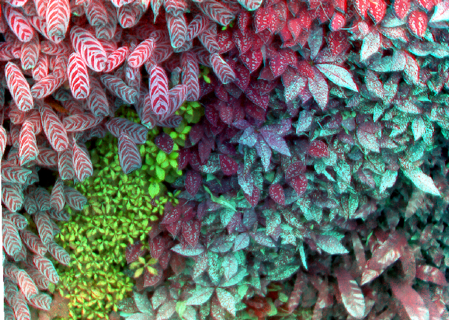 A Raspberry Pi Multispectral Camera : 8 Steps (with Pictures ...