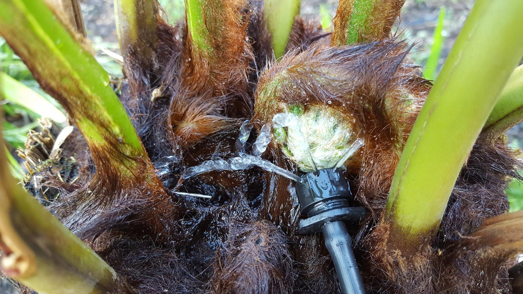 Iot Garden Watering With Arduino Esp32 And Openweathermap With Pictures Instructables