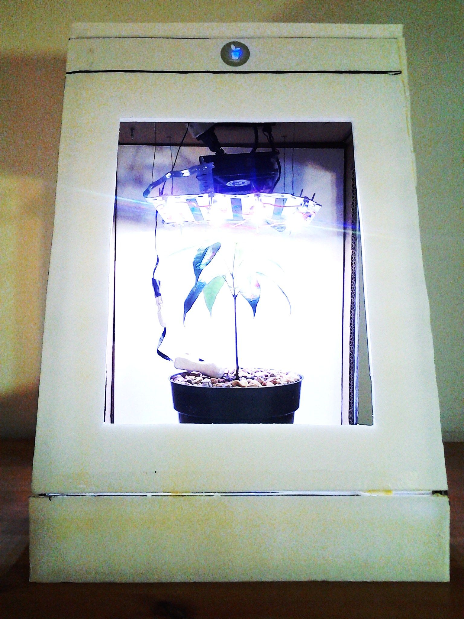 The Plant Box : 6 Steps - Instructables