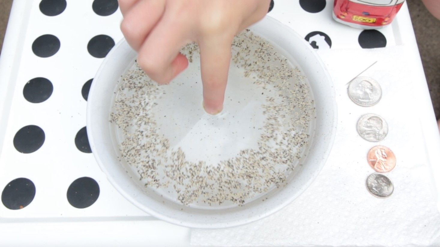 Surface Tension Science Experiments With Common Houshold Items : 5 ...