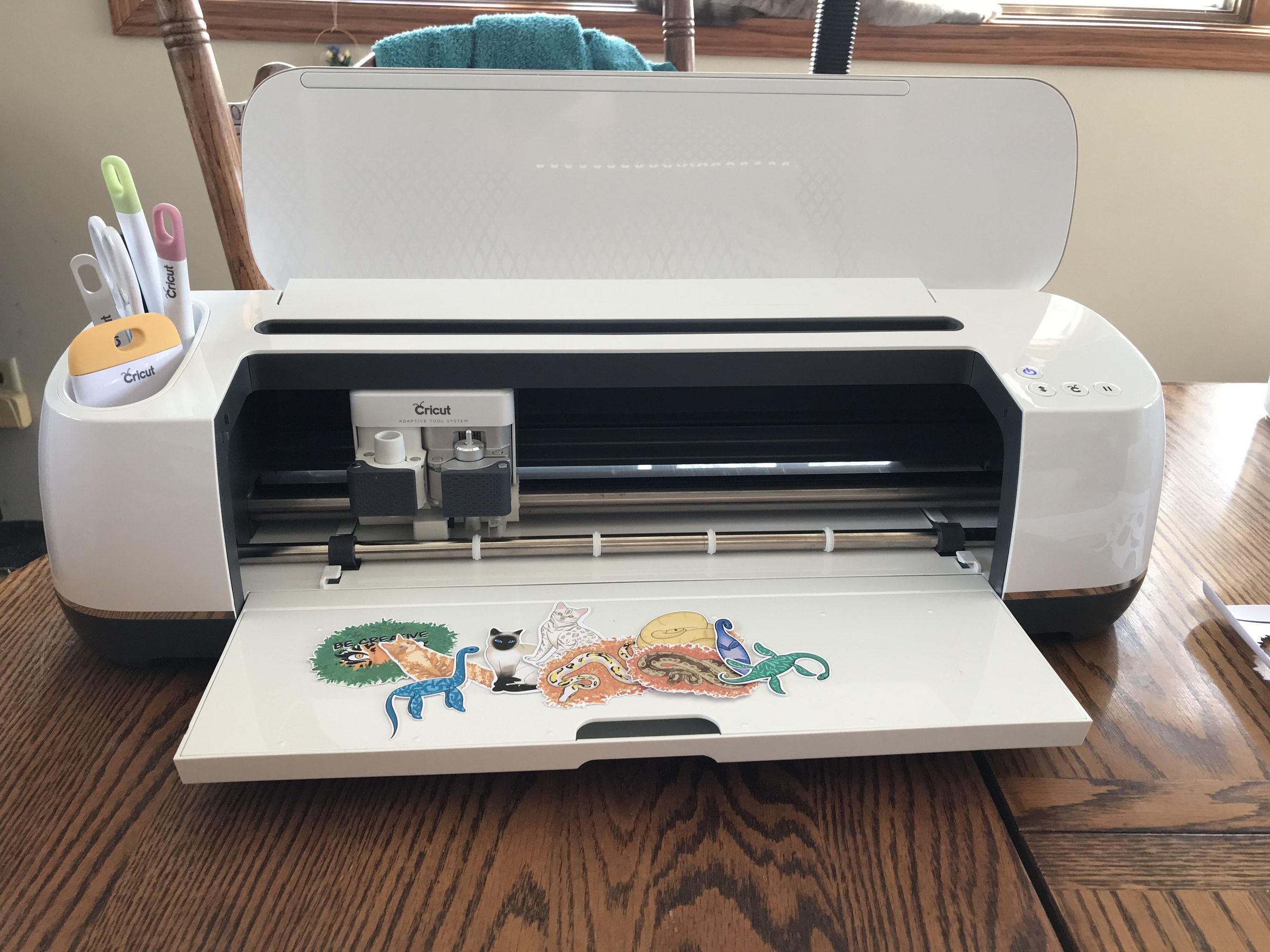 How to Dye Cut Print on a Cricut : 17 Steps (with Pictures) - Instructables