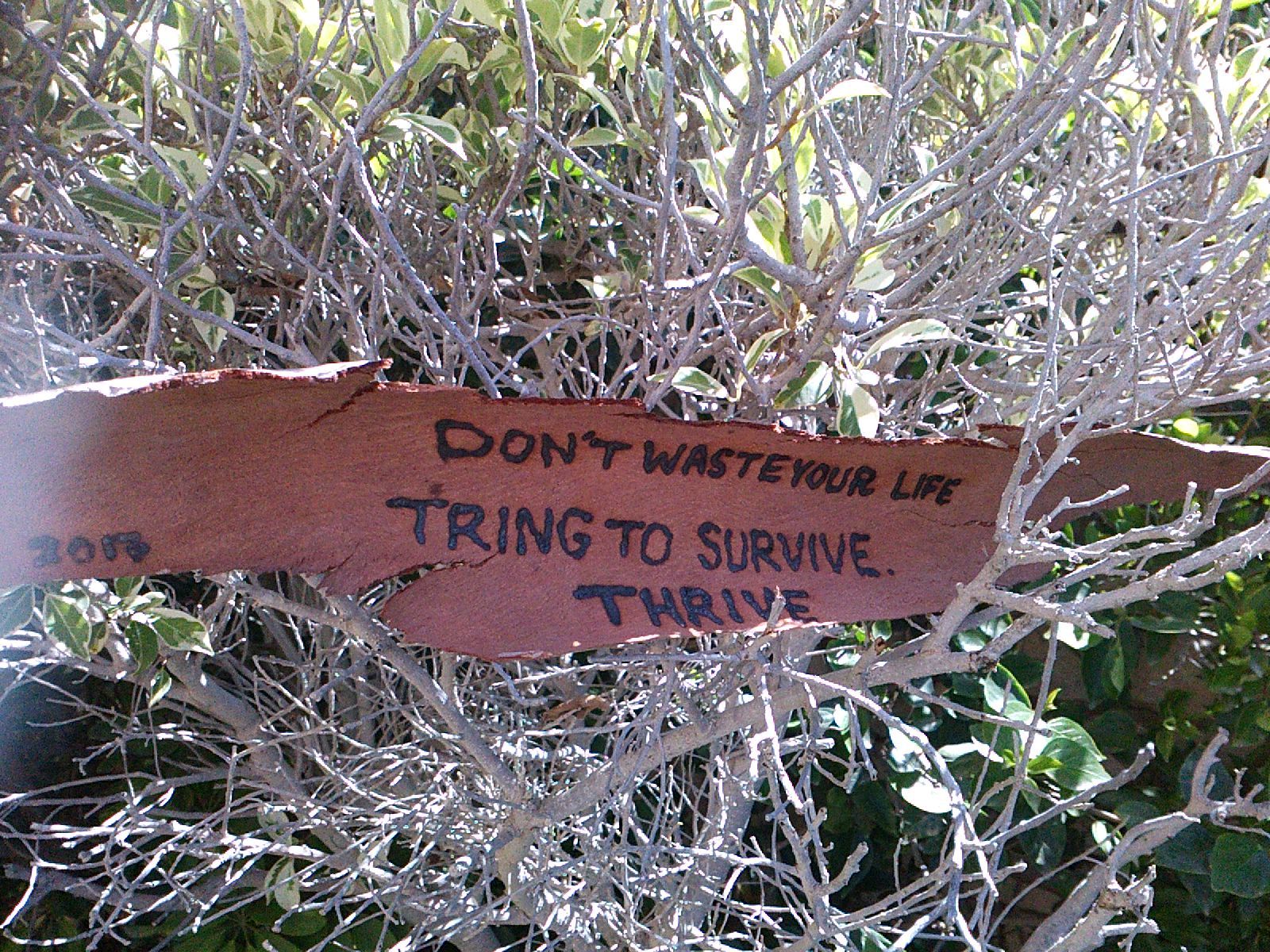Solar Pyrography Garden Quotes - Instructables