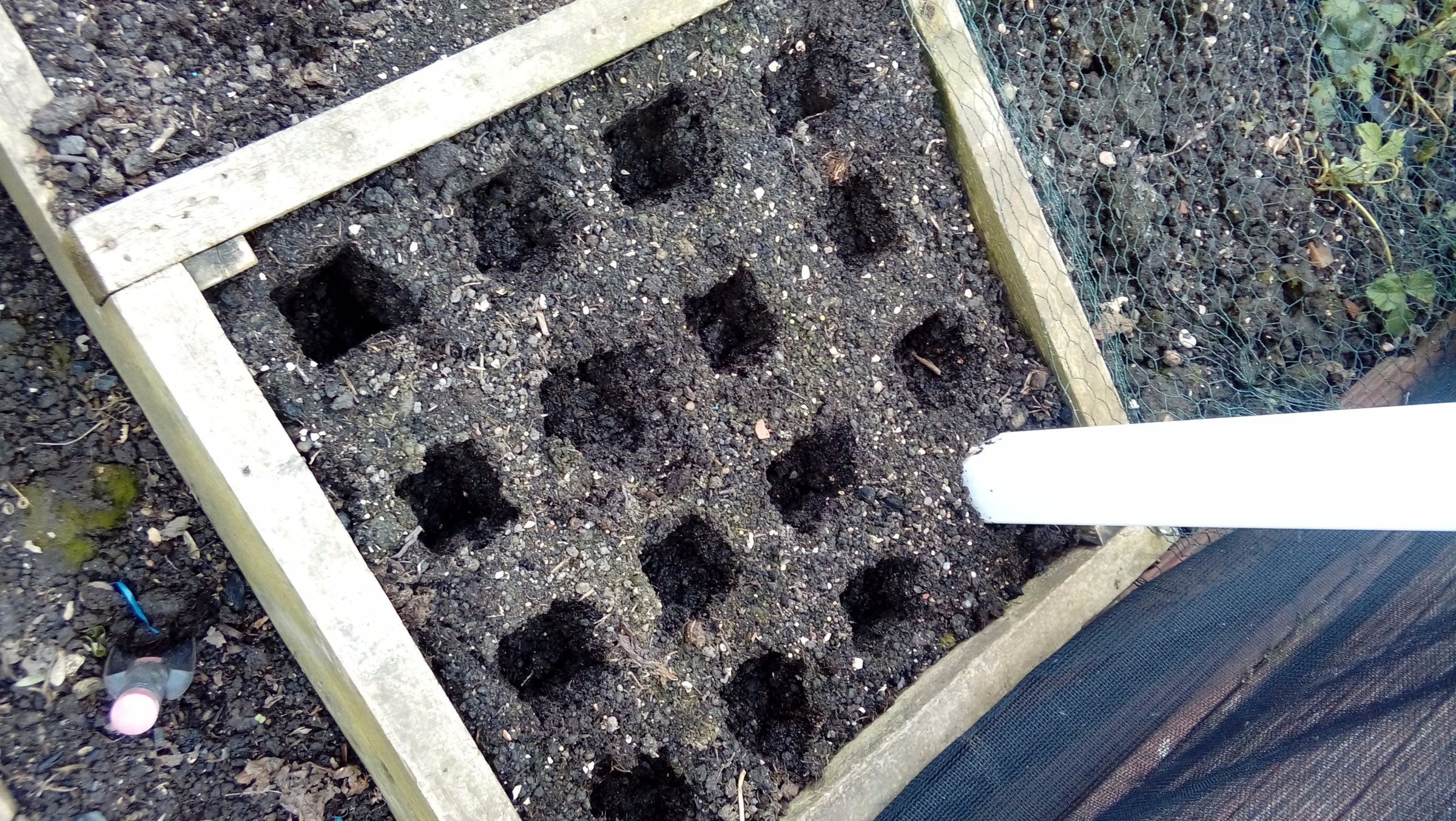 Easy Planting : 3 Steps (with Pictures) - Instructables