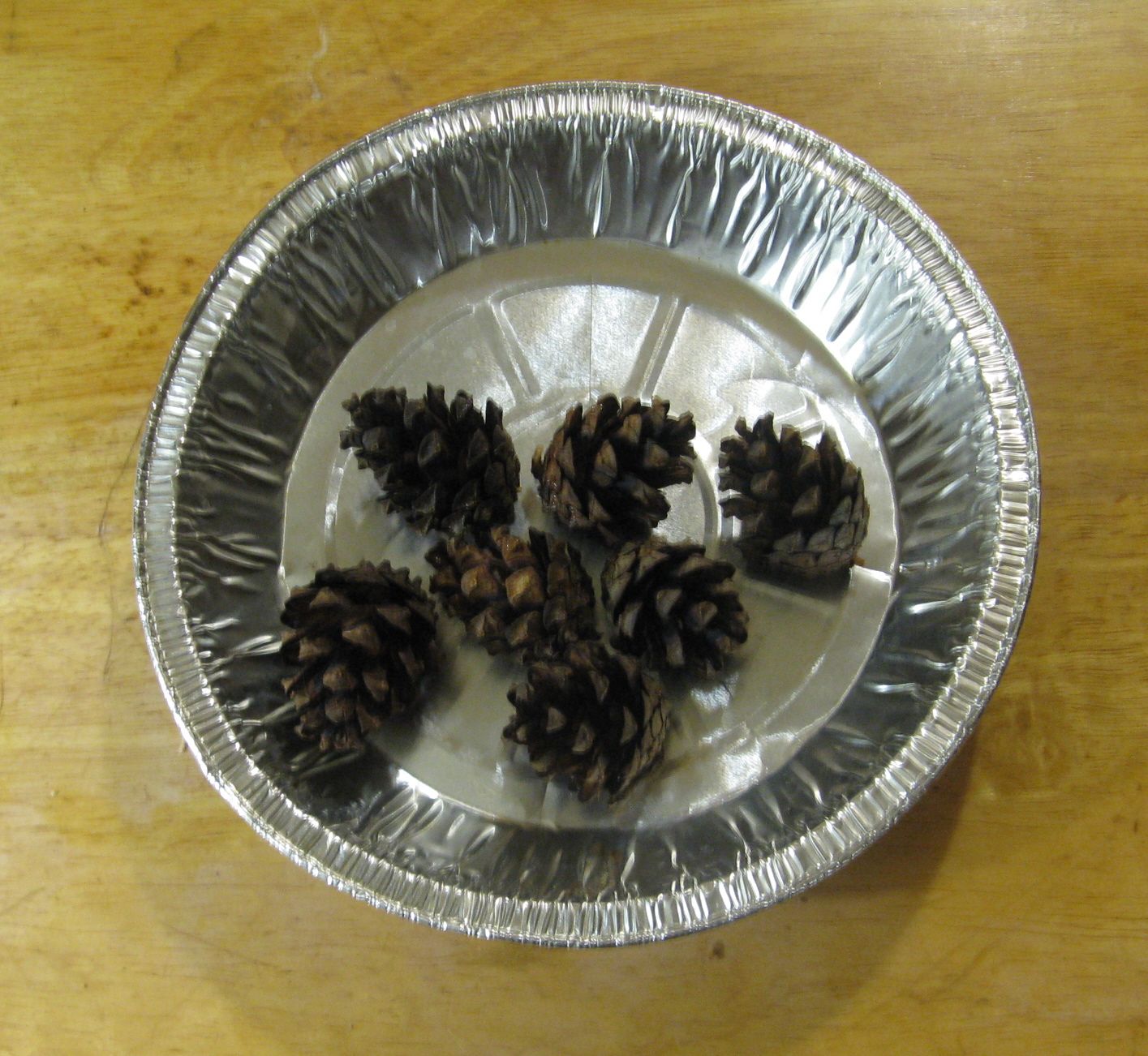 Three Essential Groups of Wild Edible Plants : 19 Steps (with Pictures ...