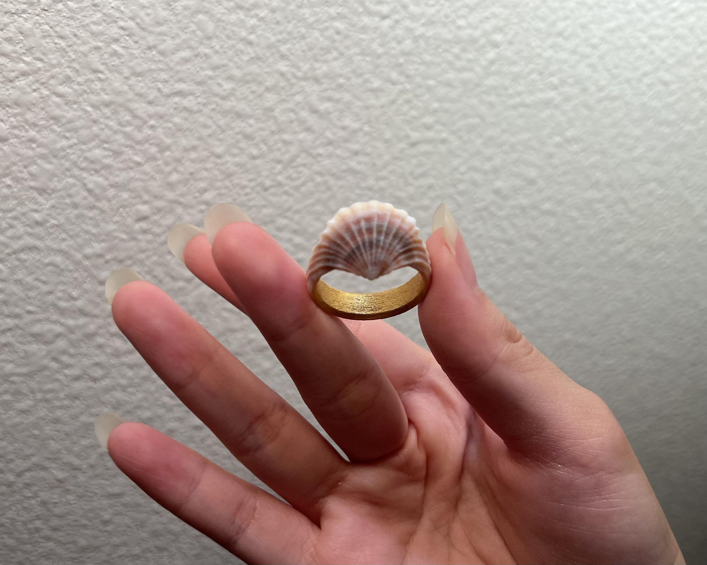 Seashell Ring : 7 Steps - Instructables