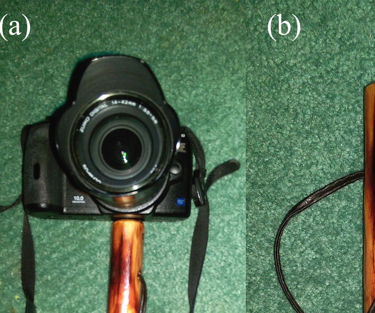 Versatile Walking Stick: Camera Monopod and Stylish Walk-Along : 9 ...