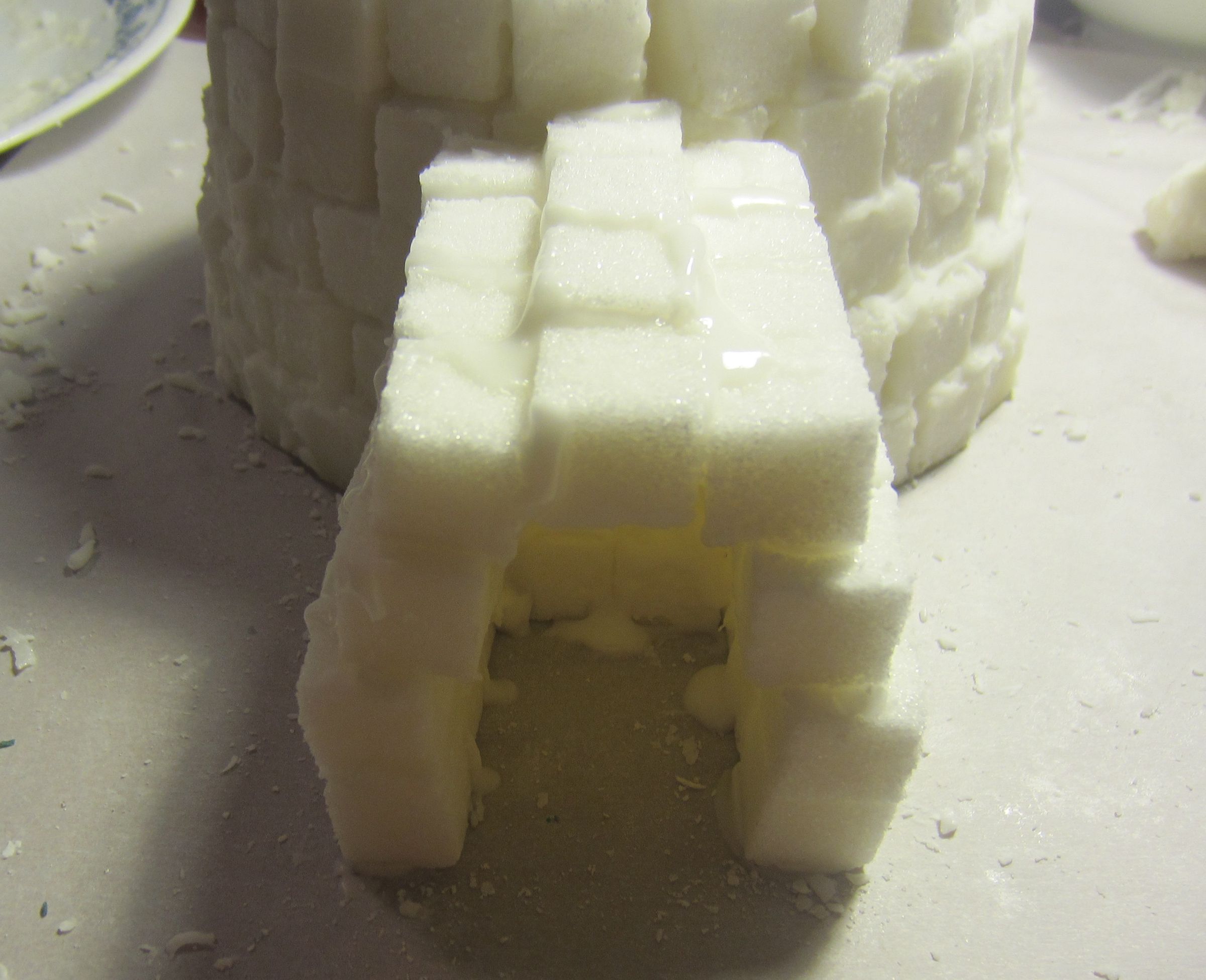 Edible White Chocolate-Coconut Polar Bear on Sugar Cube Igloo Sculpture : 4 Steps (with Pictures ...