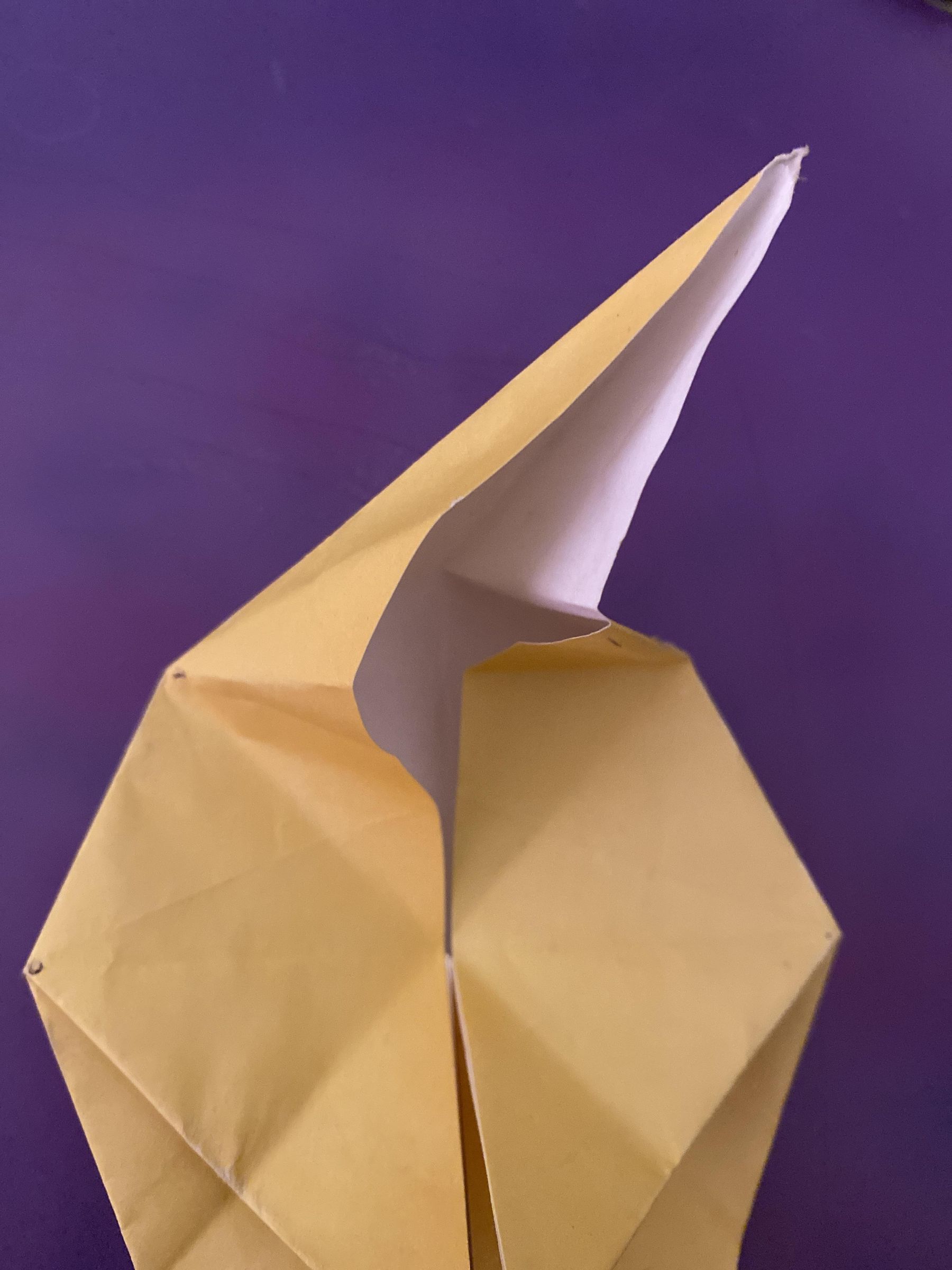 Origami Rat : 27 Steps - Instructables