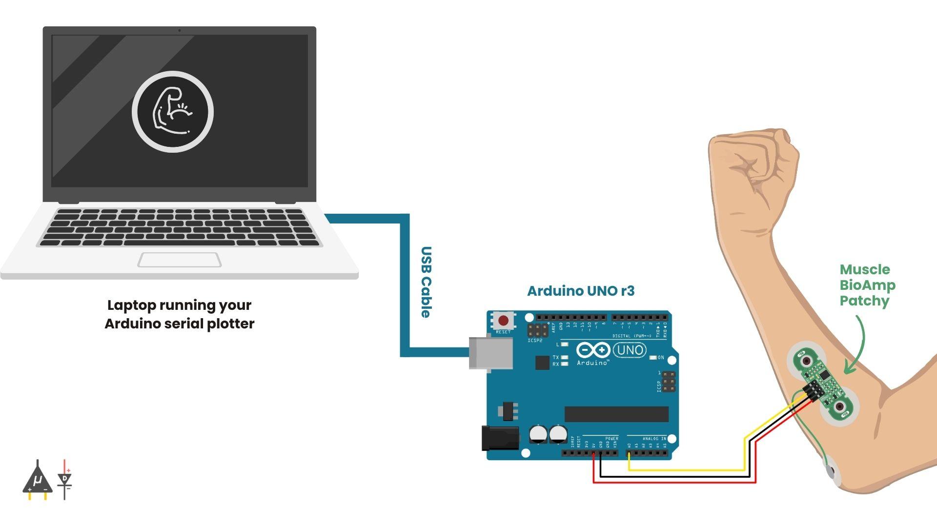Recording and Visualizing Muscle Signals (EMG) Using Muscle BioAmp ...