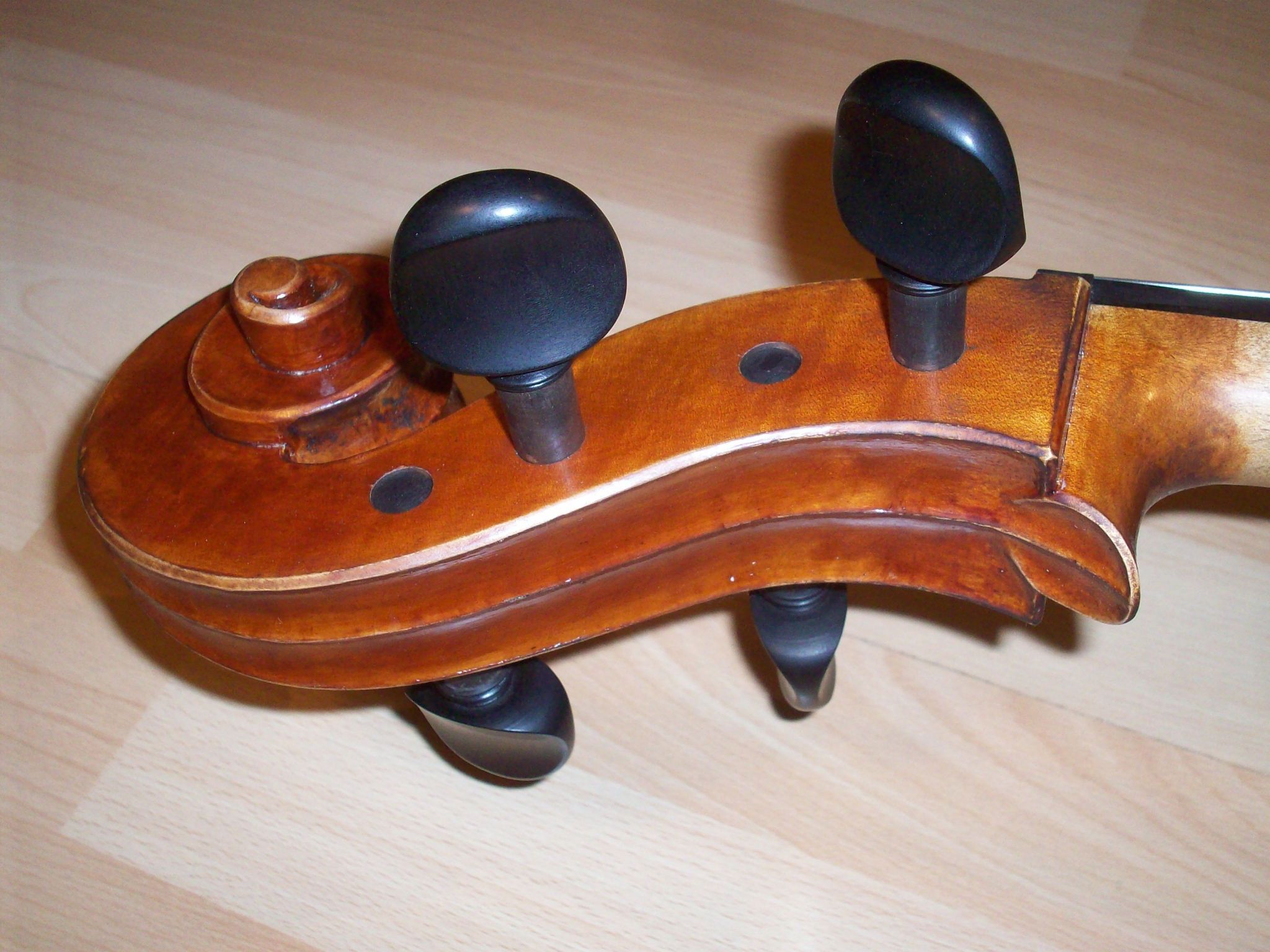 The Birth of a Volute : 7 Steps (with Pictures) - Instructables