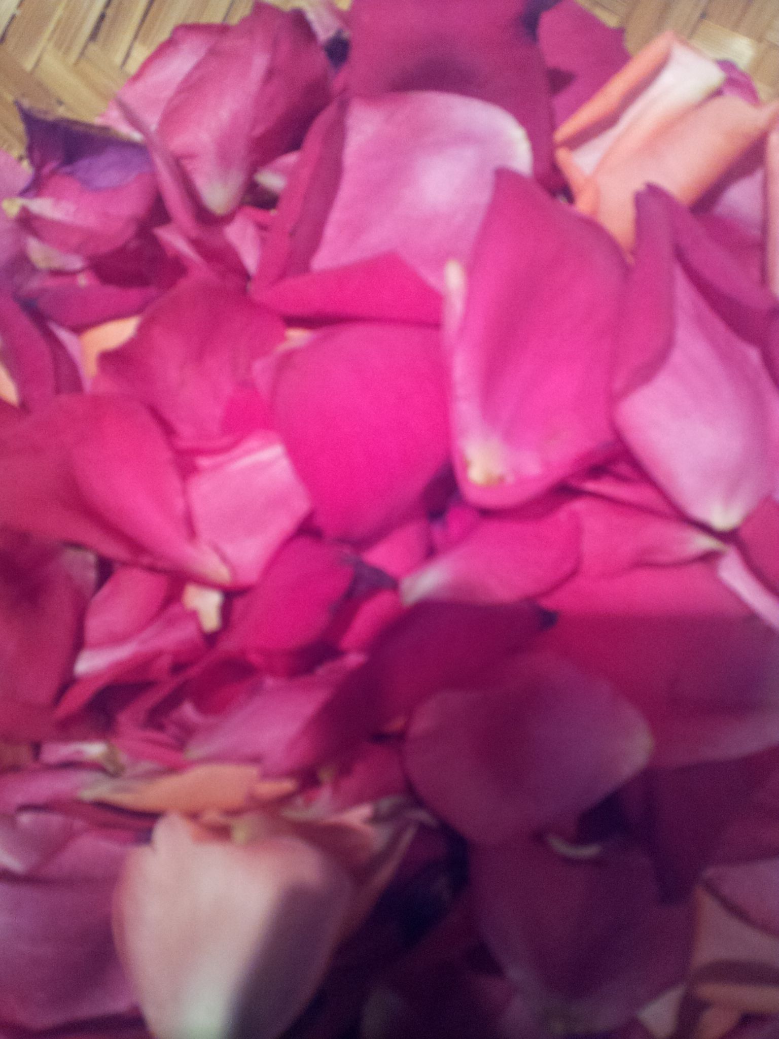 How to Make Pure RoseWater : 5 Steps - Instructables