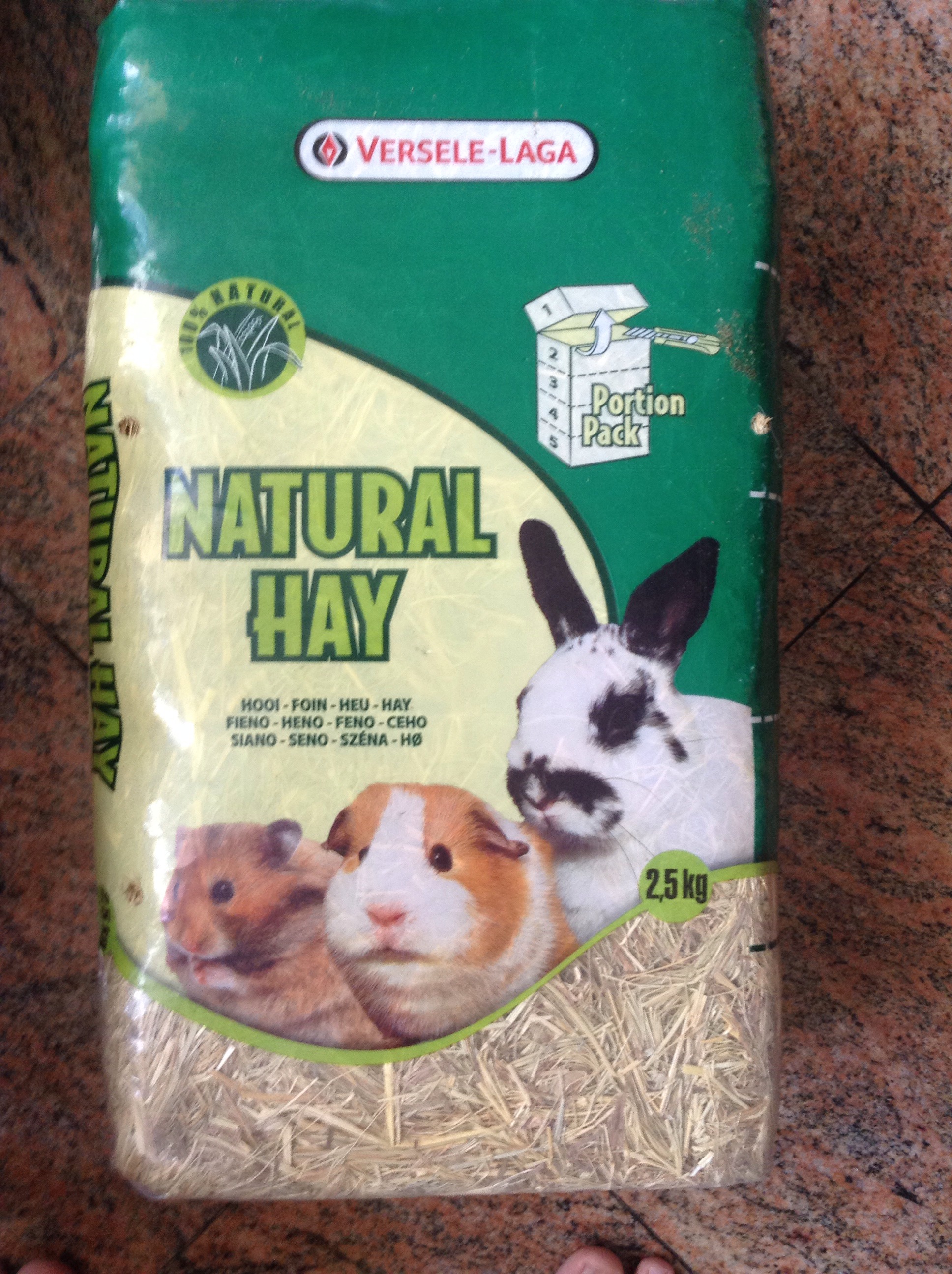 How to Litter Train Your Rabbit : 4 Steps - Instructables