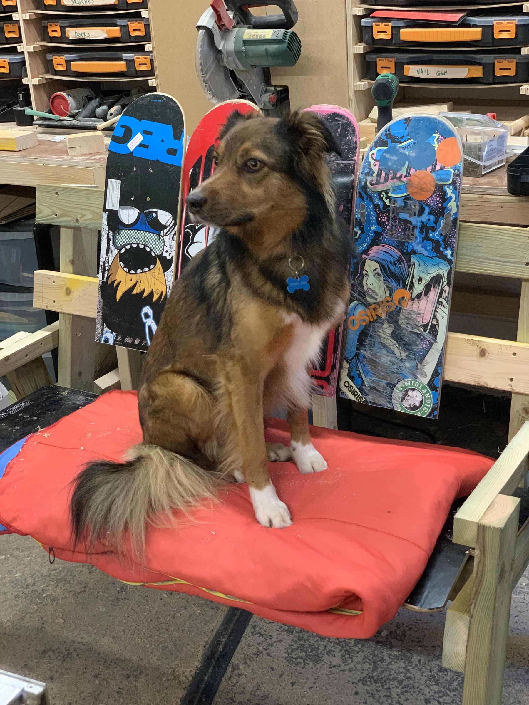 Skateboard Bench : 5 Steps (with Pictures) - Instructables