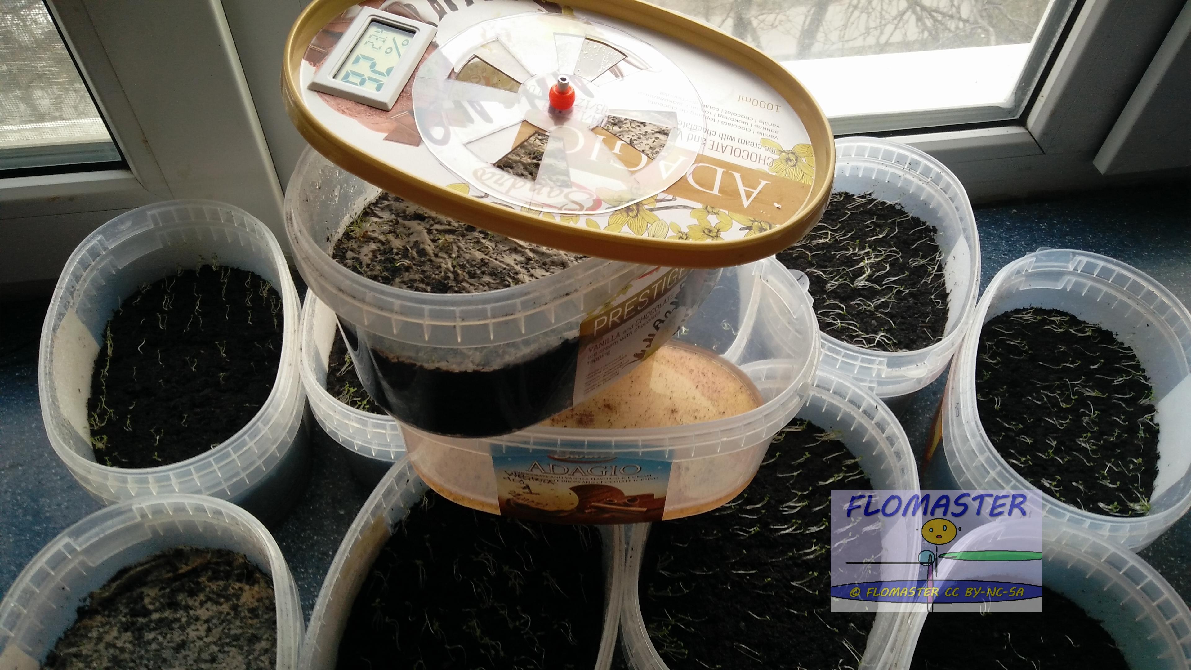 🌼 DIY Seedling Propagator From Recycled Plastic Container 🌼 : 12 Steps ...