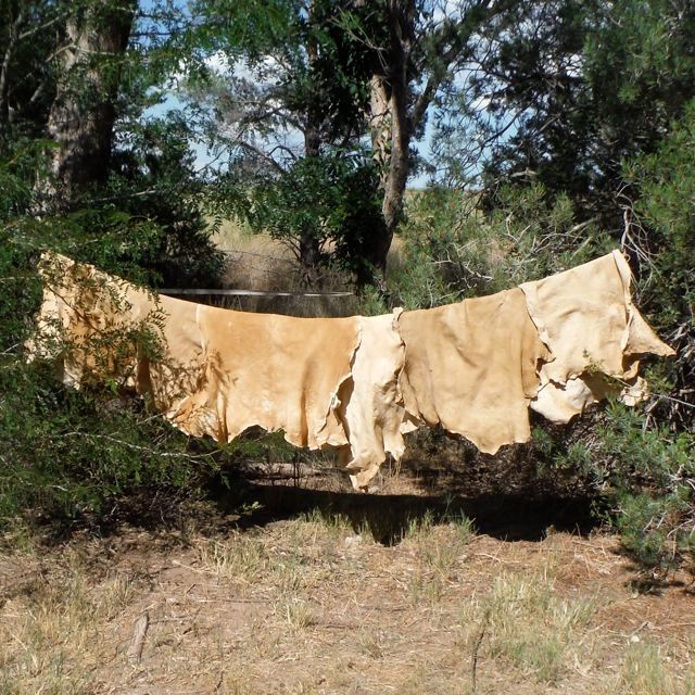 Making Buckskin : 9 Steps (with Pictures) - Instructables