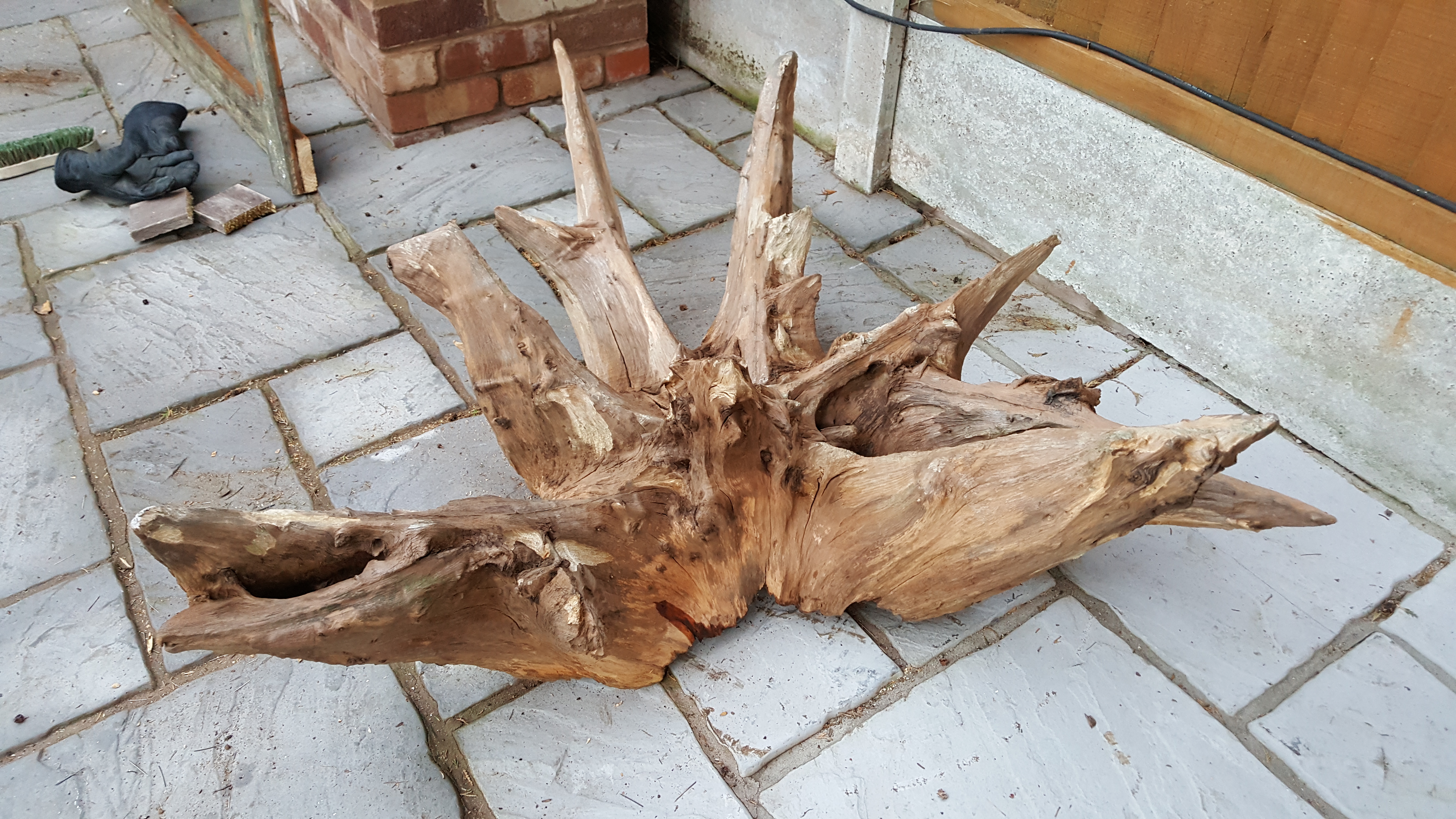 Tree Root Table With Custom Glass Top and Underlight : 10 Steps (with ...