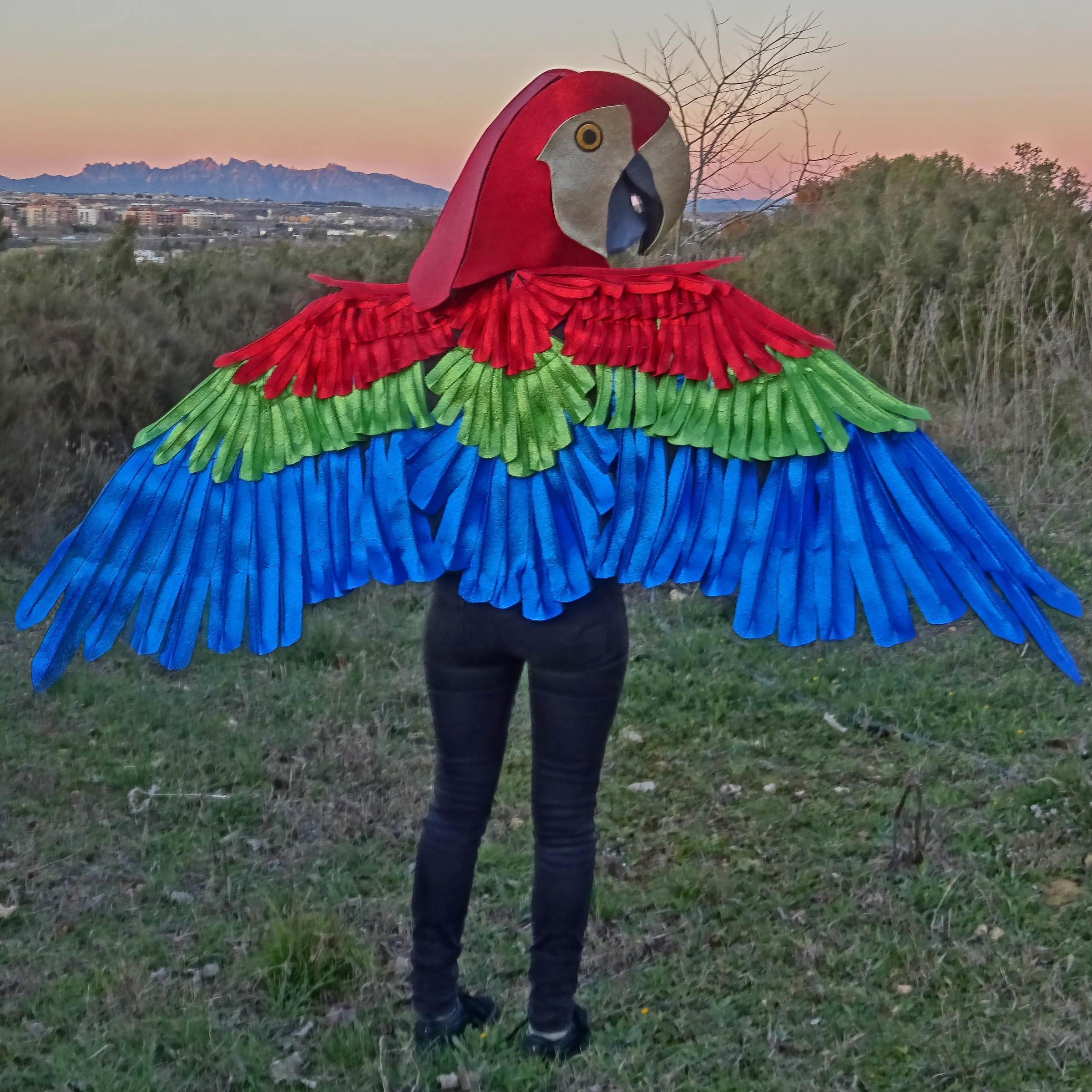 Parrot Mask and Wings : 11 Steps (with Pictures) - Instructables