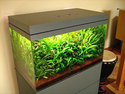 Fish Tank Hood V.2 - Instructables