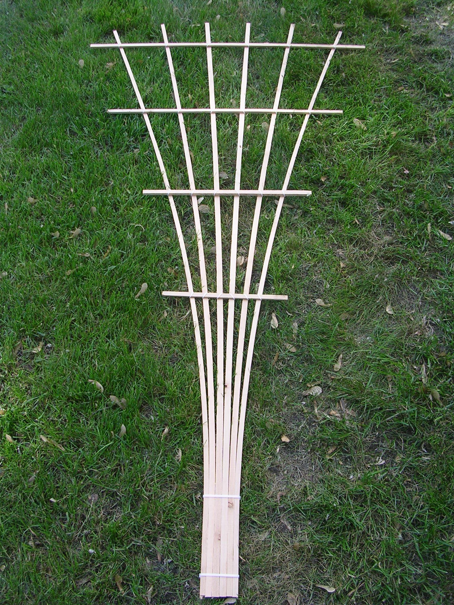 Q&D Trellis : 7 Steps (with Pictures) - Instructables