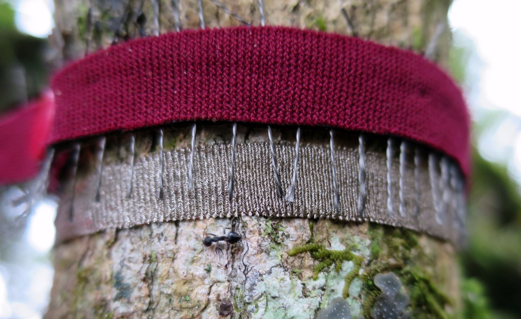 Fiber-Optic Jungle Insect Traffic Taster : 17 Steps (with Pictures ...